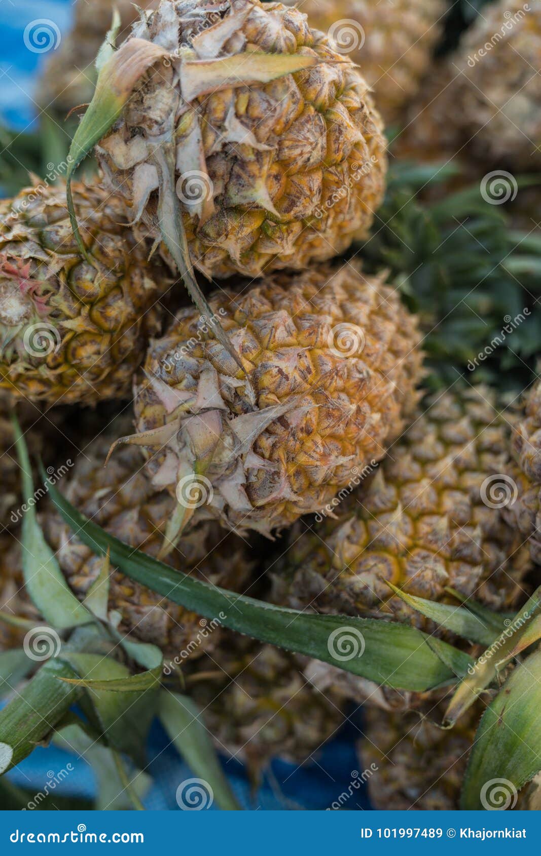 Ananas image stock. Image du nutrition, juteux, orange - 101997489