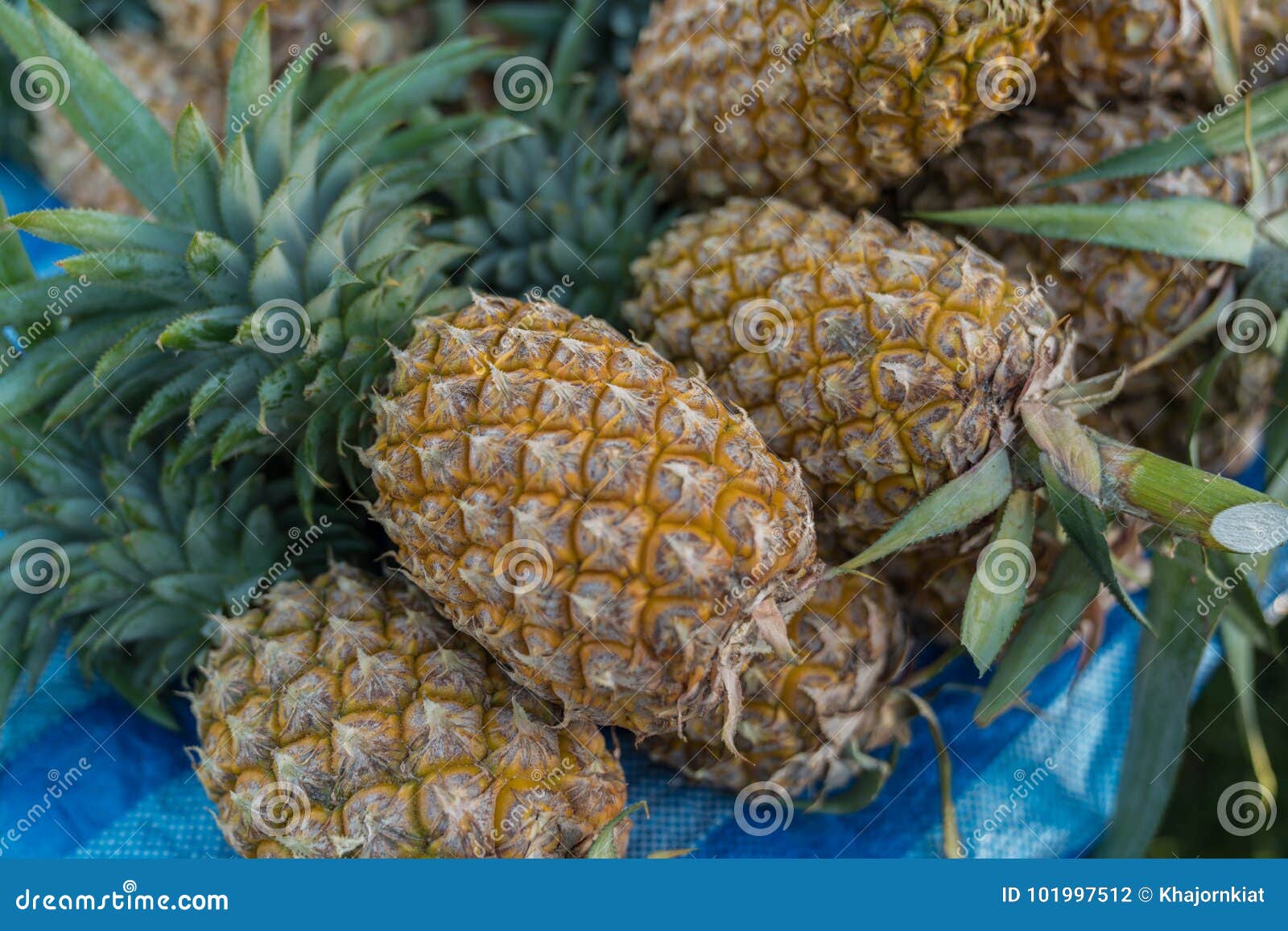Ananas photo stock. Image du copie, centrale, vitamine - 101997512