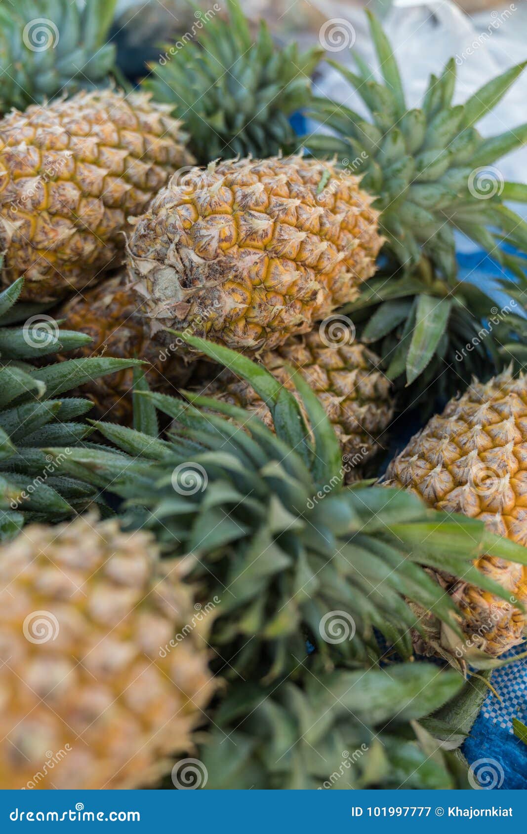 Ananas fotografering för bildbyråer. Bild av orange - 101997777