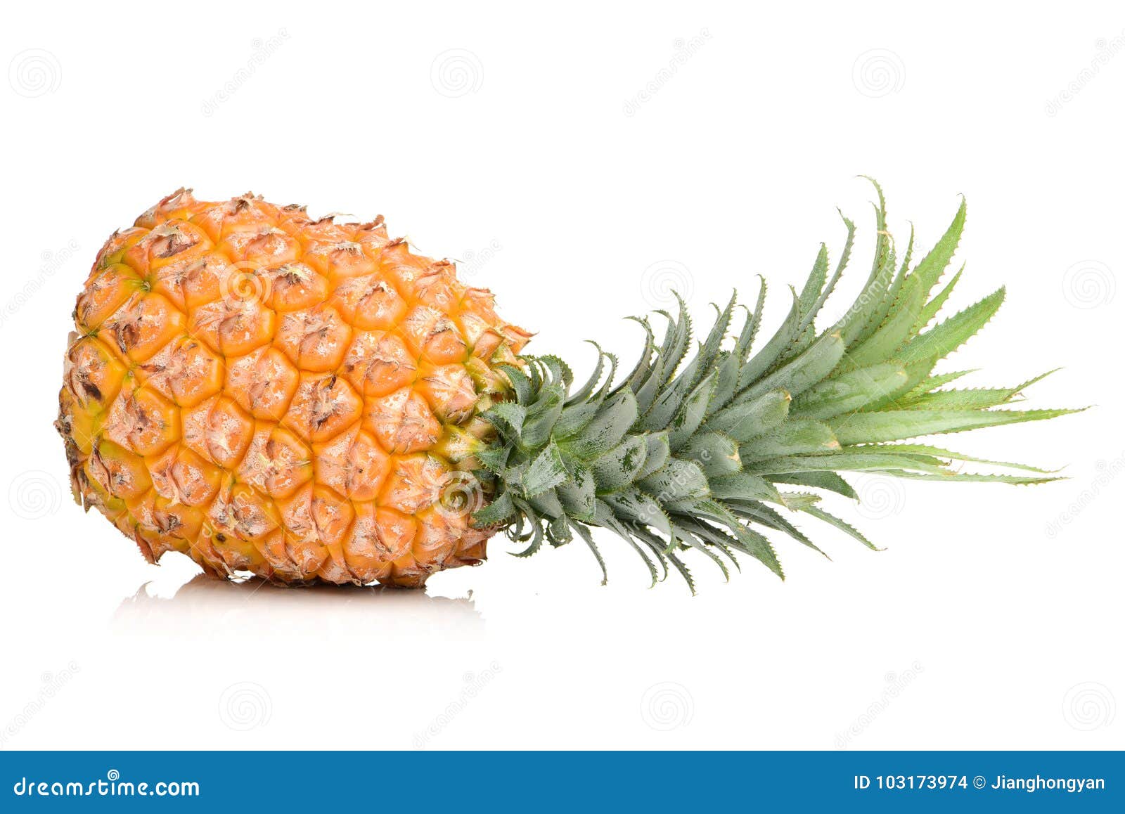 Ananas stock foto. Image of geel, versheid, gezond, zoet - 103173974