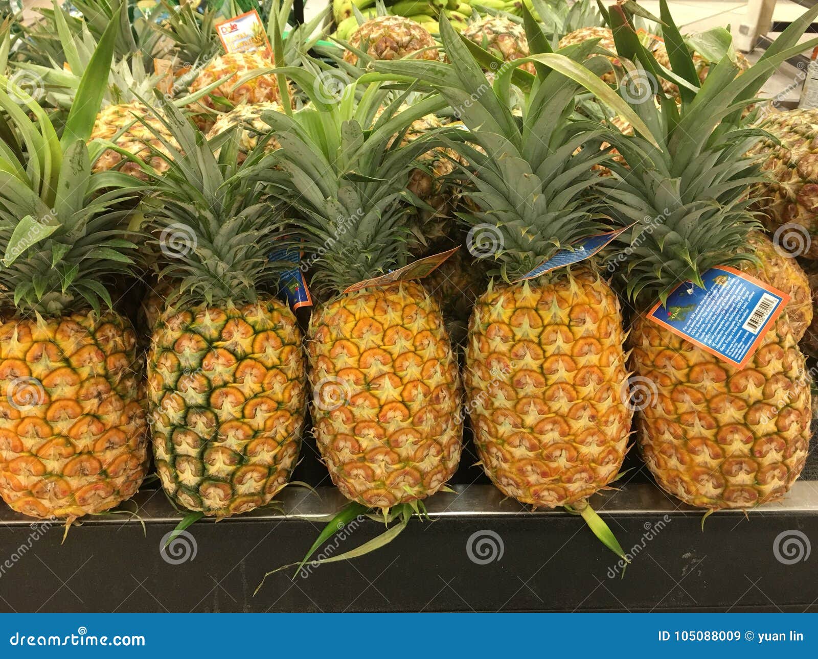Ananas redaktionelles stockbild. Bild von frucht, ananas - 105088009