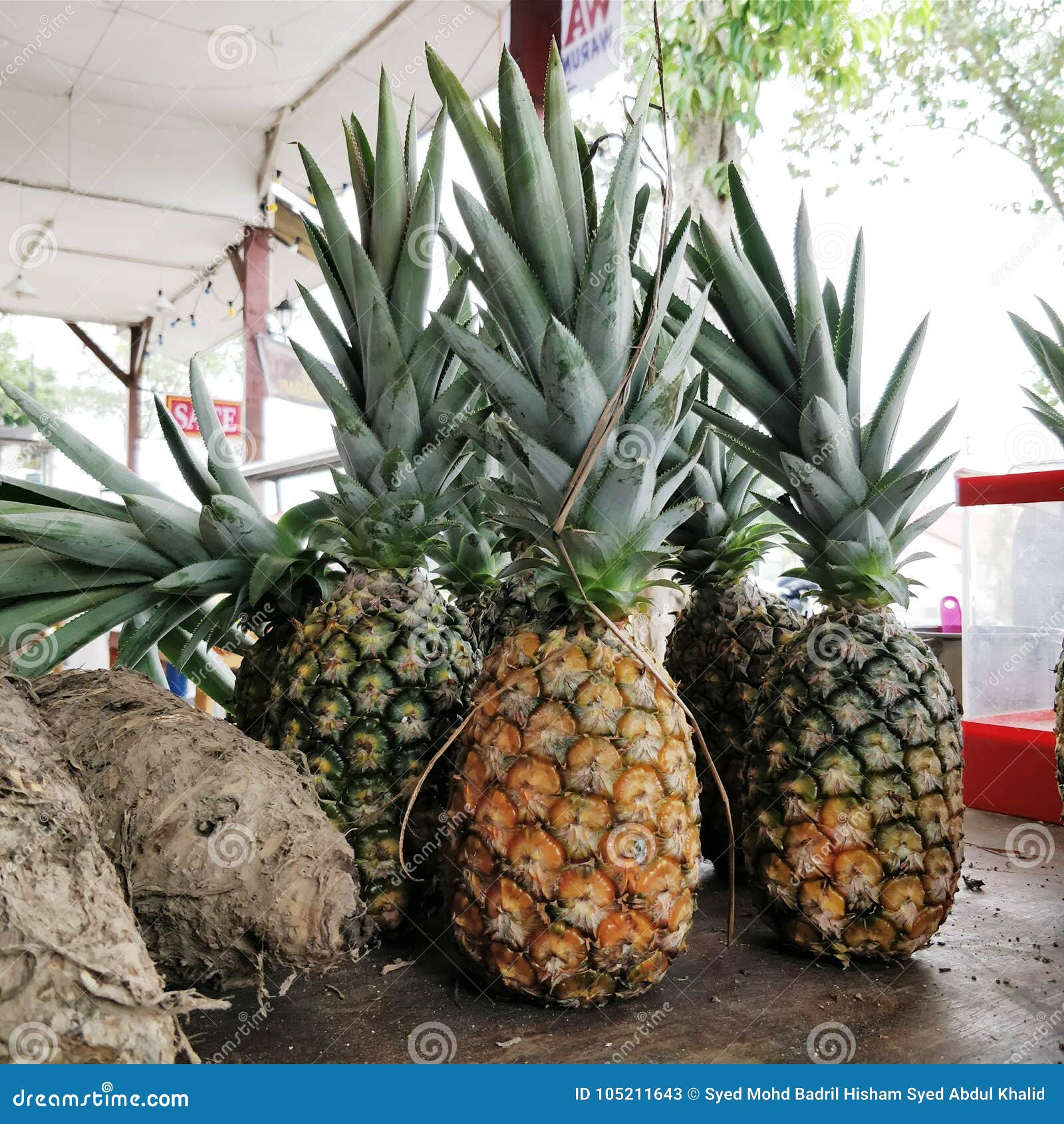 Ananas image stock. Image du pointu, ananas, jaune, table - 105211643