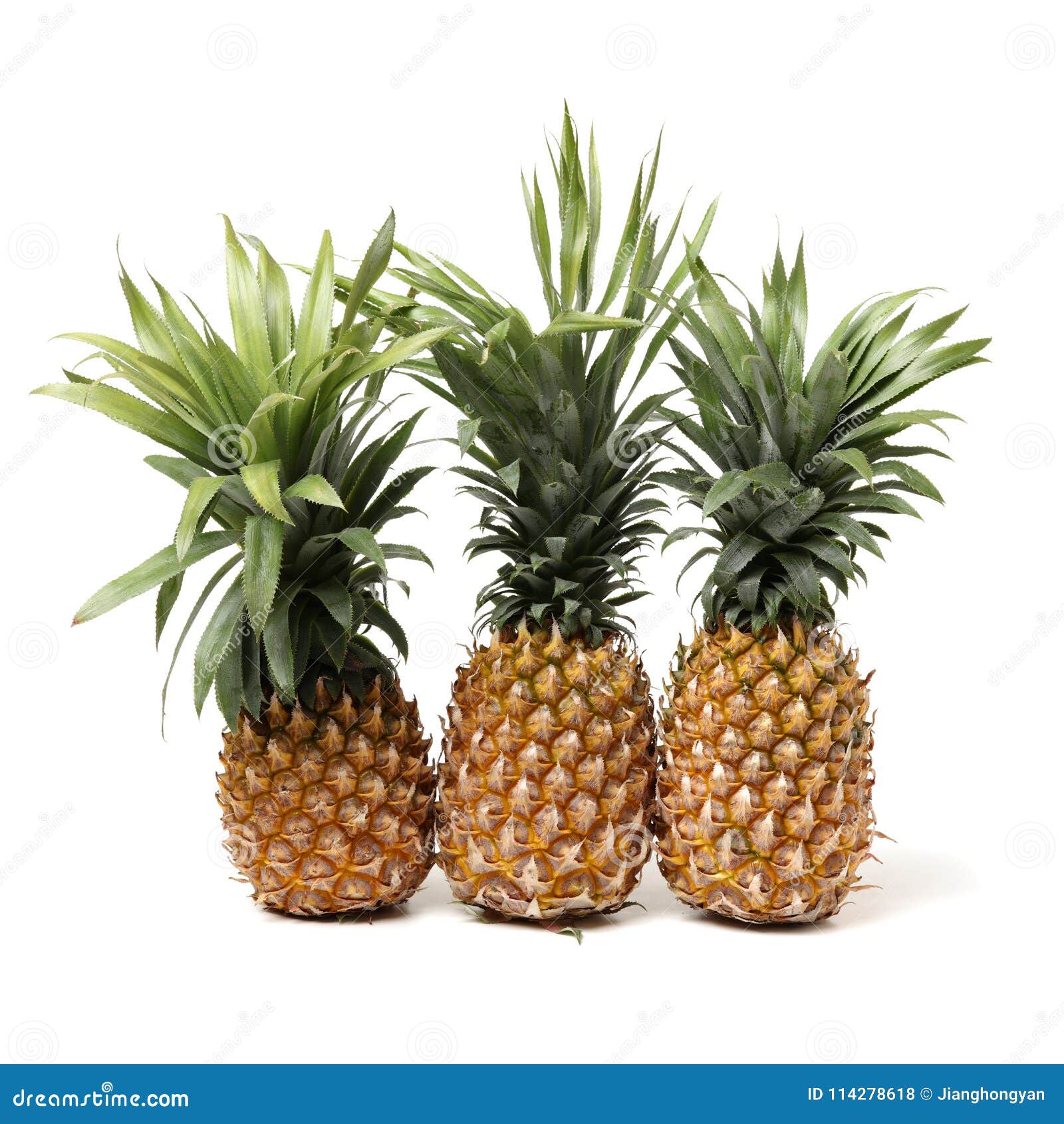 Ananas stock foto. Image of cultuur, dieet, diëet, versheid - 114278618