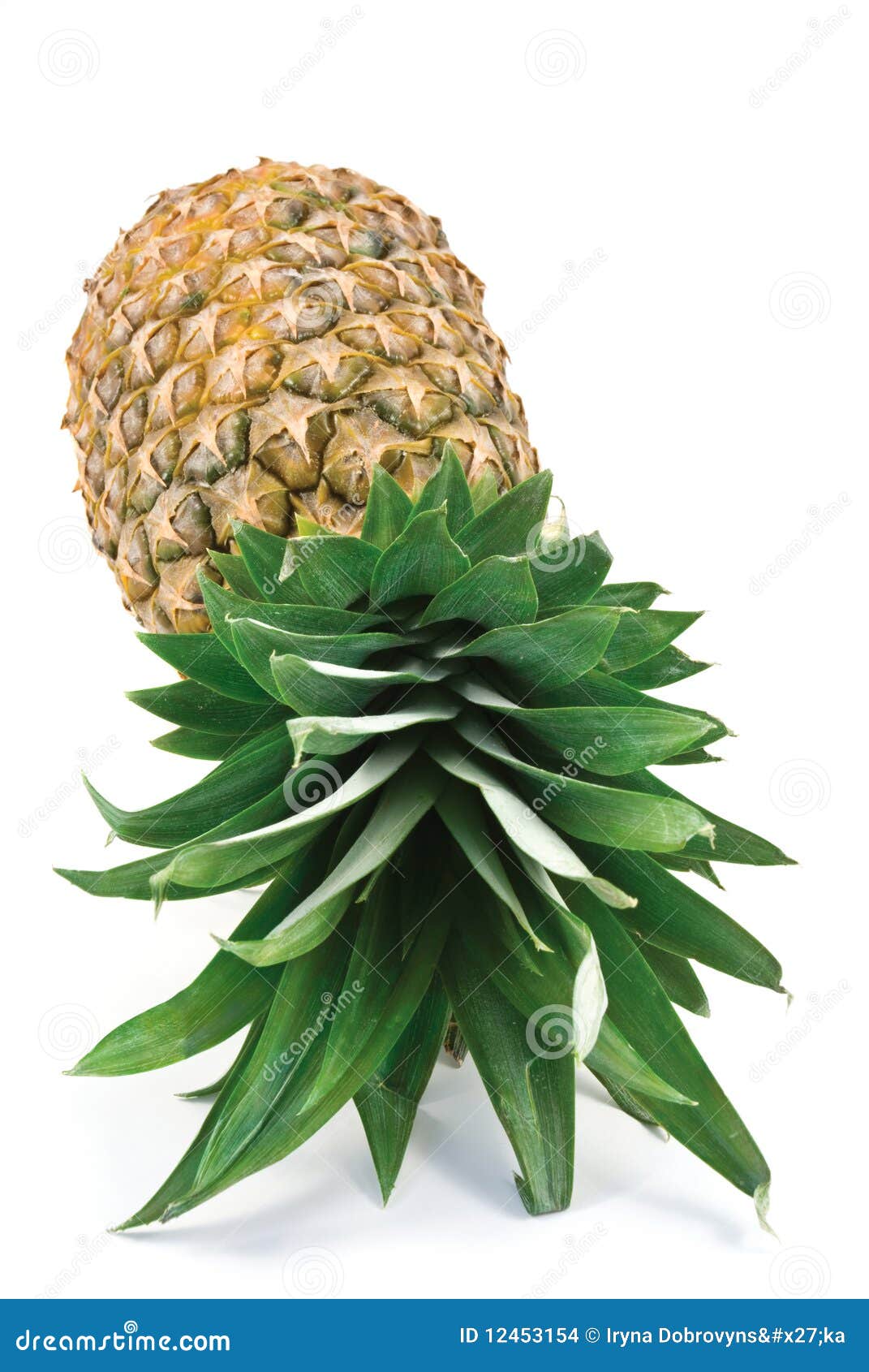 Ananas stock foto. Image of gezond, organisch, voedsel - 12453154