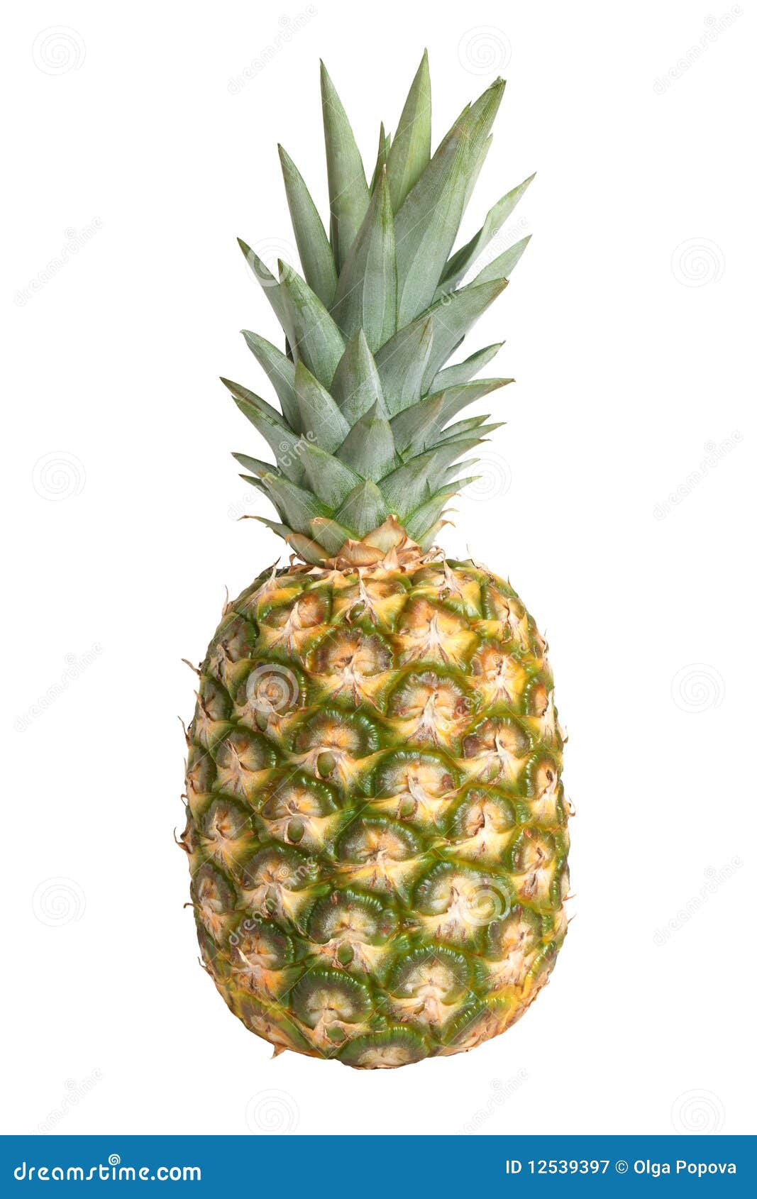 Ananas immagine stock. Immagine di closeup, sano, fine - 12539397