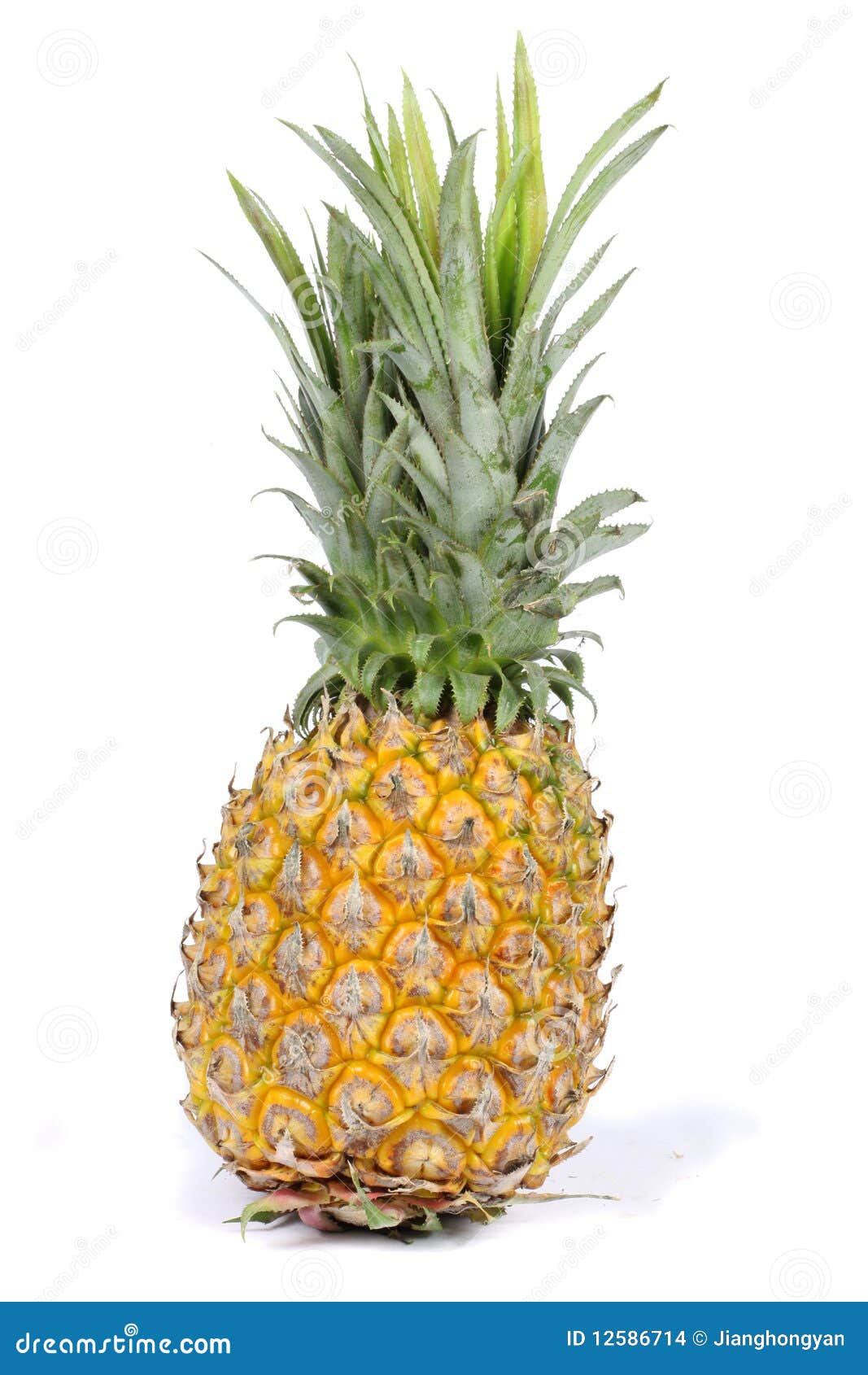 Ananas stockfoto. Bild von nahrung, gesund, frische, betriebe - 12586714