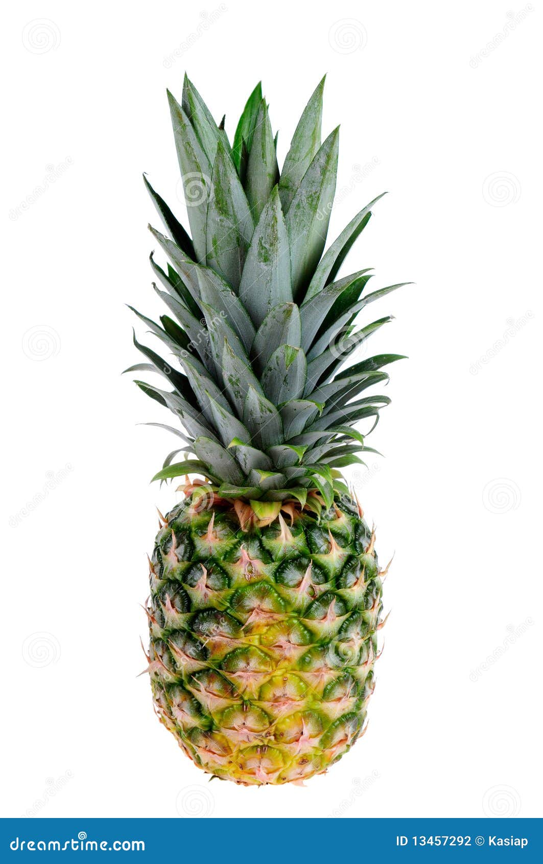 Ananas photo stock. Image du salubre, repas, fermer, épicerie - 13457292