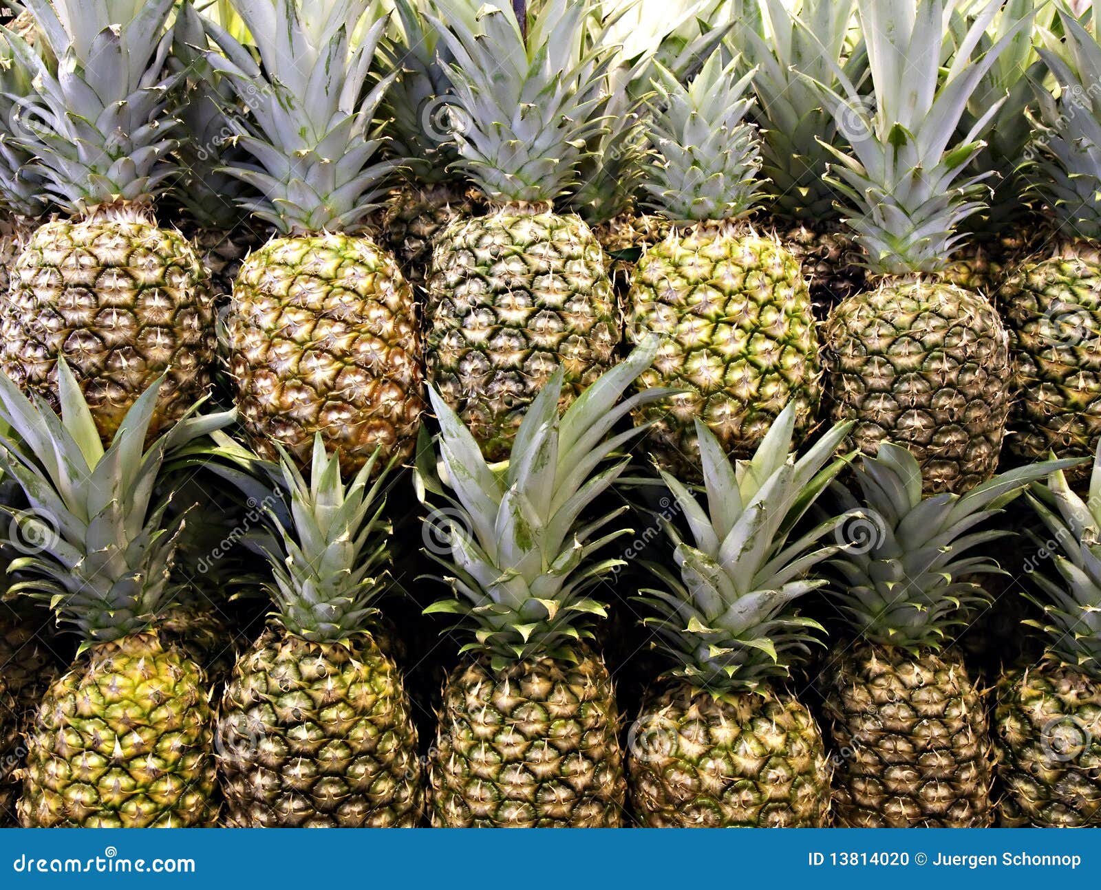 Ananas stockfoto. Bild von frische, küche, aroma, markt - 13814020