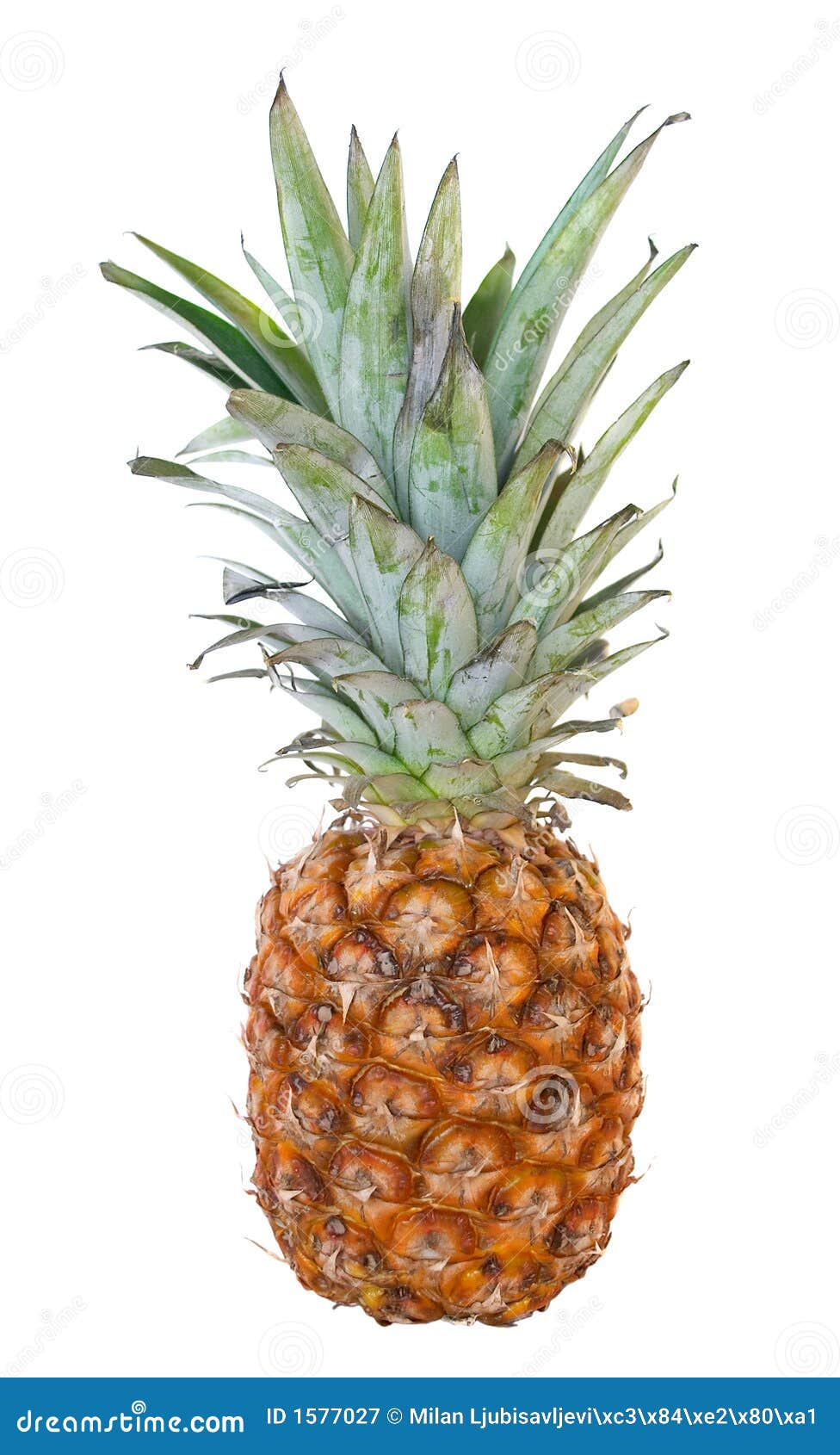 Ananas Picture. Image: 1577027