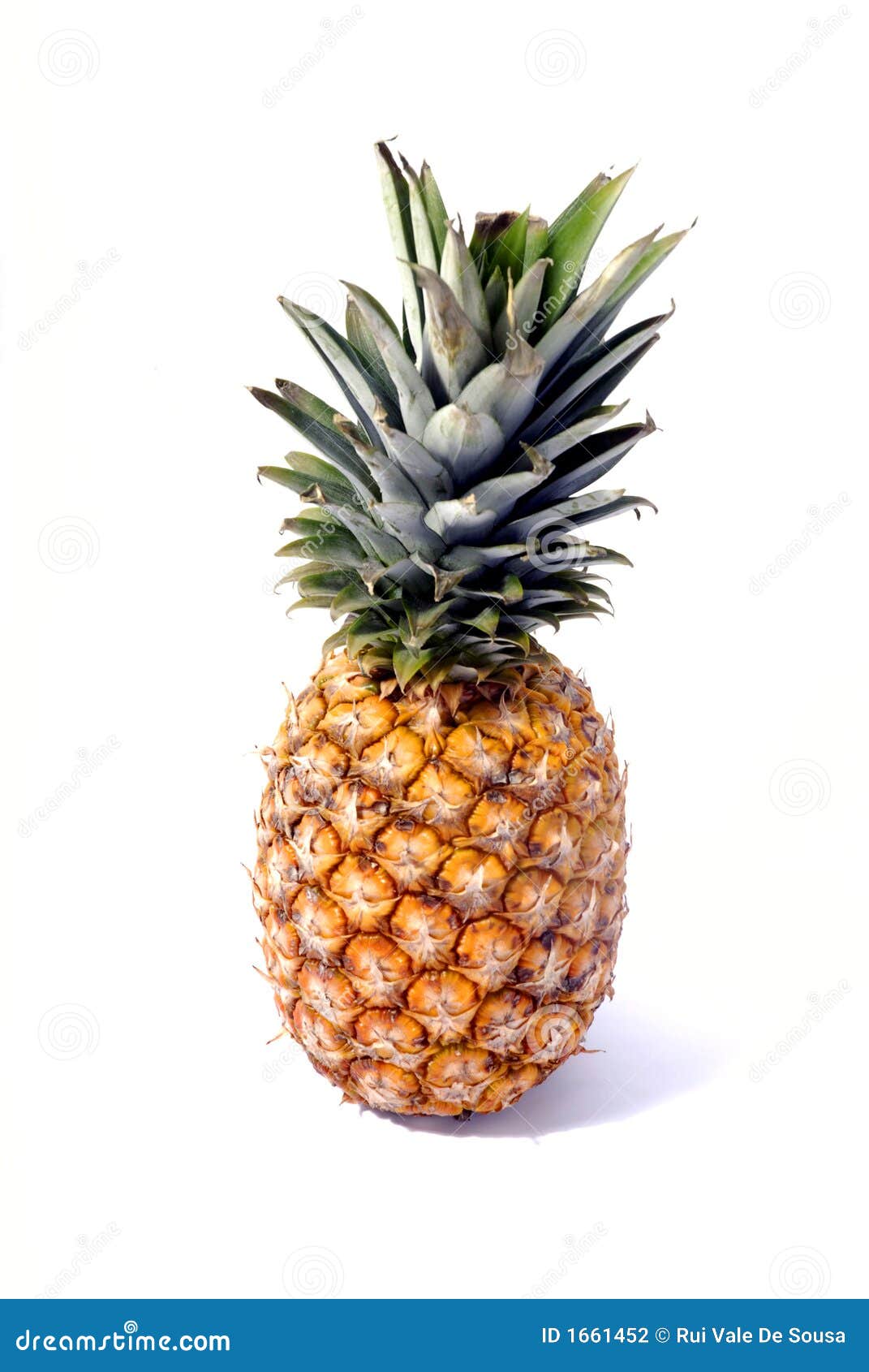Ananas arkivfoto. Bild av vändkretsar, hamn, hawaii, saftigt - 1661452