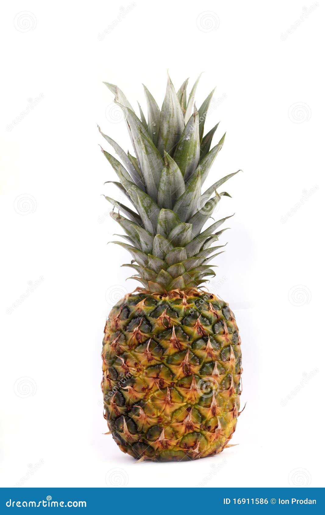 Ananas stockfoto. Bild von duft, fett, innere, nahrung - 16911586