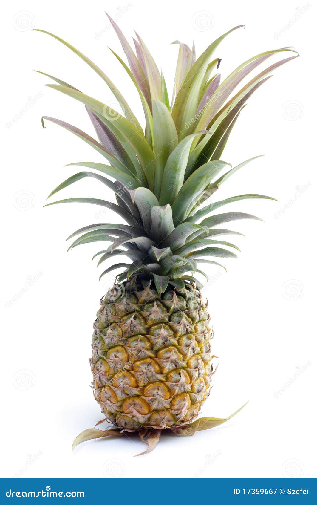 Ananas fotografering för bildbyråer. Bild av isolerat - 17359667