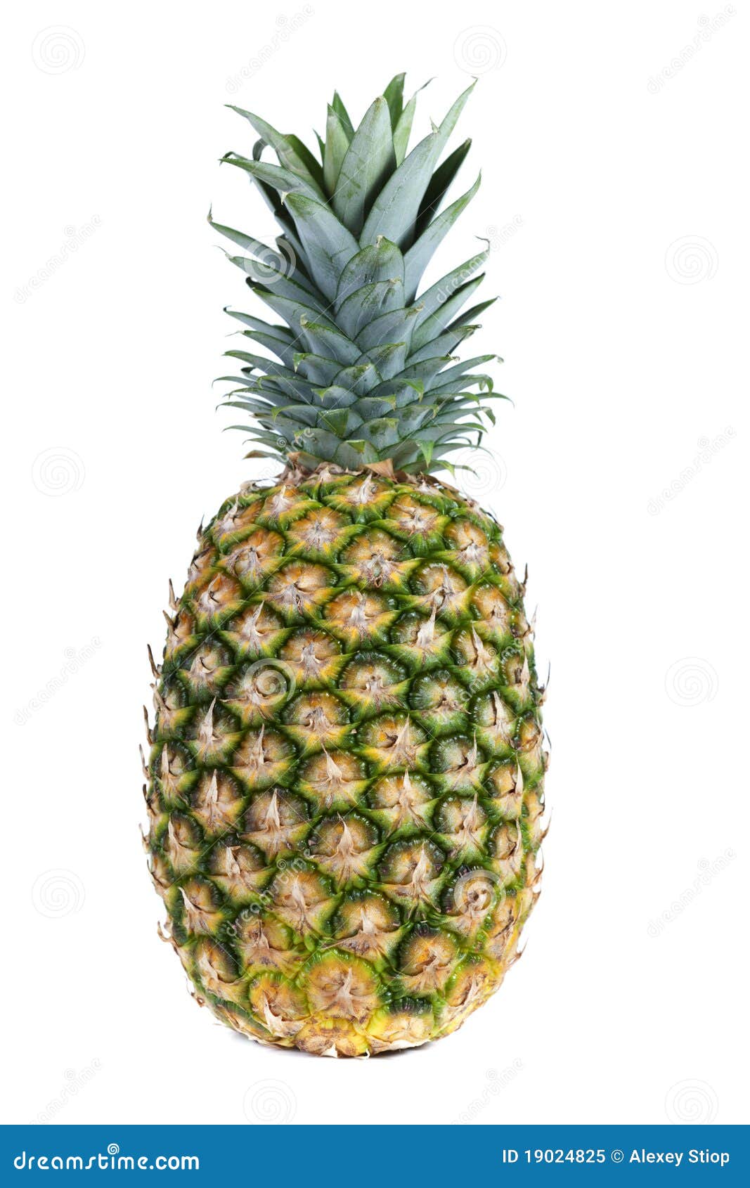 Ananas immagine stock. Immagine di sfondo, struttura - 19024825
