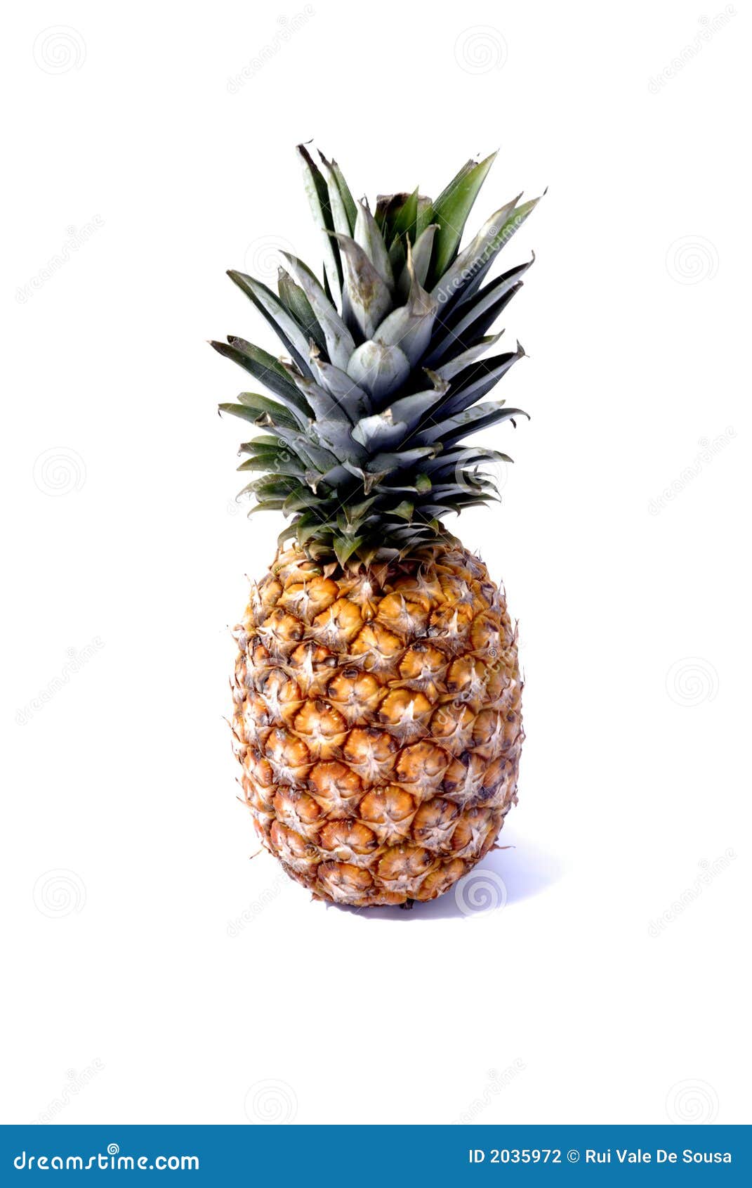Ananas photo stock. Image du été, gros, dieting, salubre - 2035972