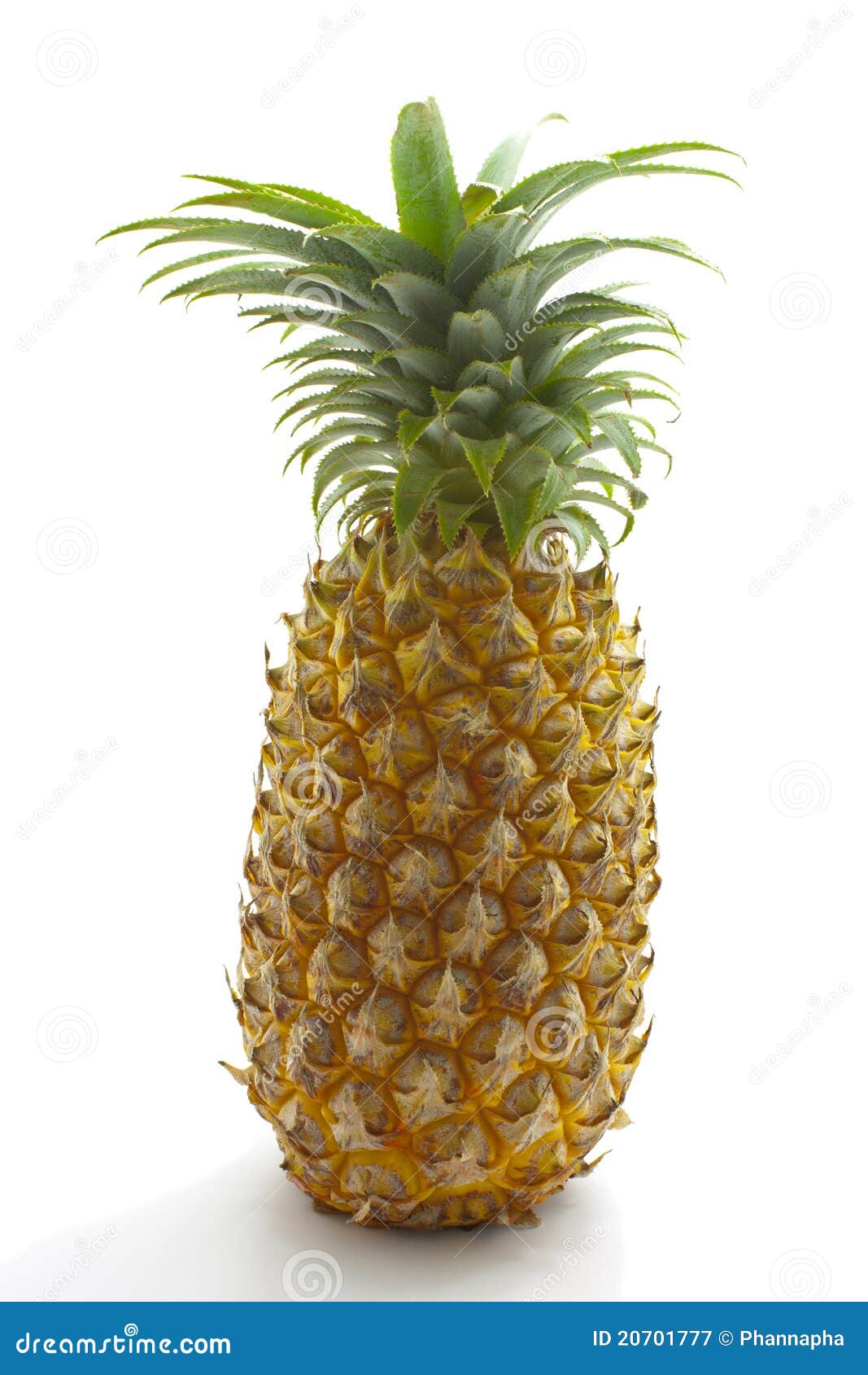 Ananas image stock. Image du nature, caribbean, vert - 20701777