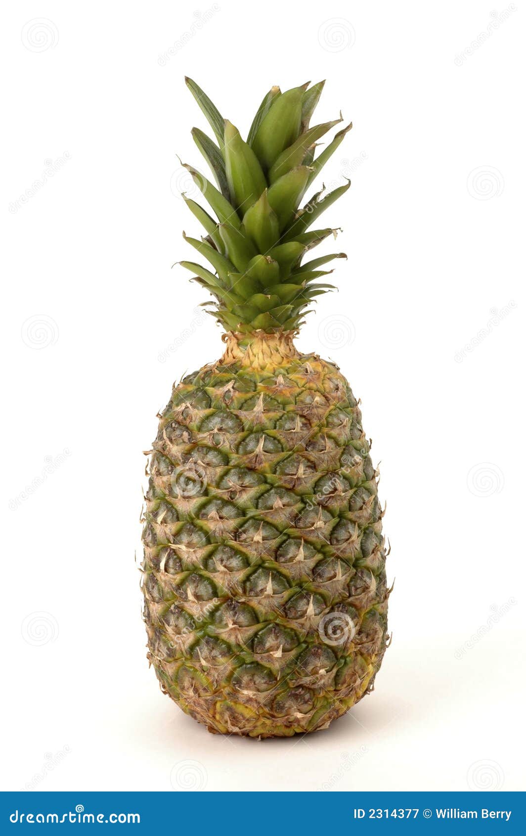 Ananas stock afbeelding. Image of voedzaam, hawaiiaans - 2314377