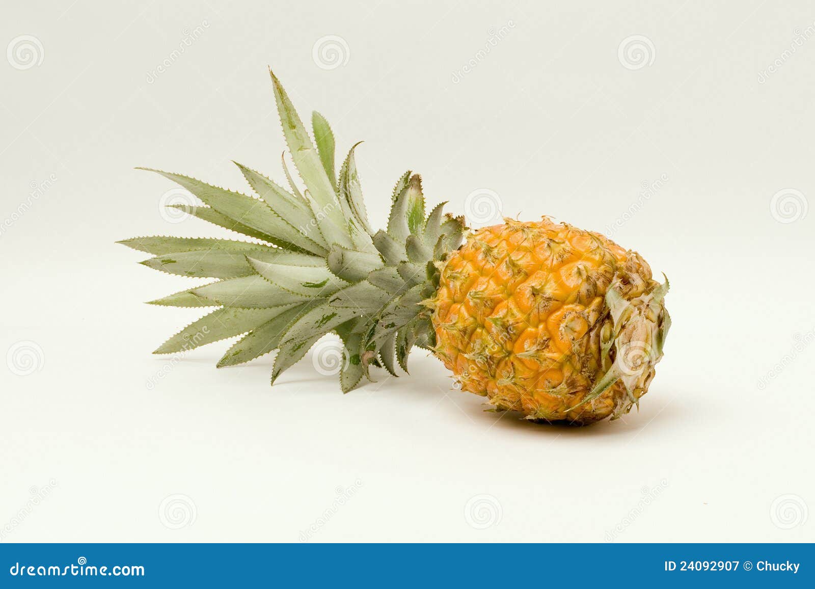 Ananas stockbild. Bild von blätter, gesundheit, tropisch - 24092907