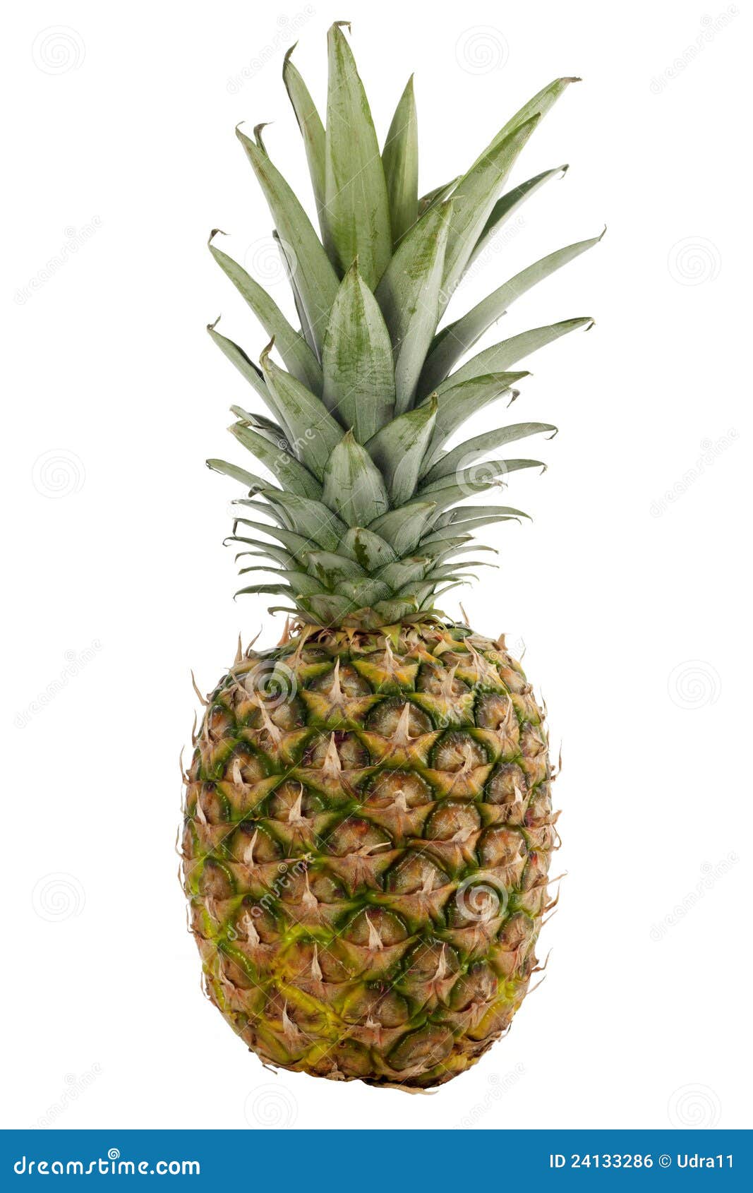 Ananas stock photo. Image of details, isolated, delicious - 24133286