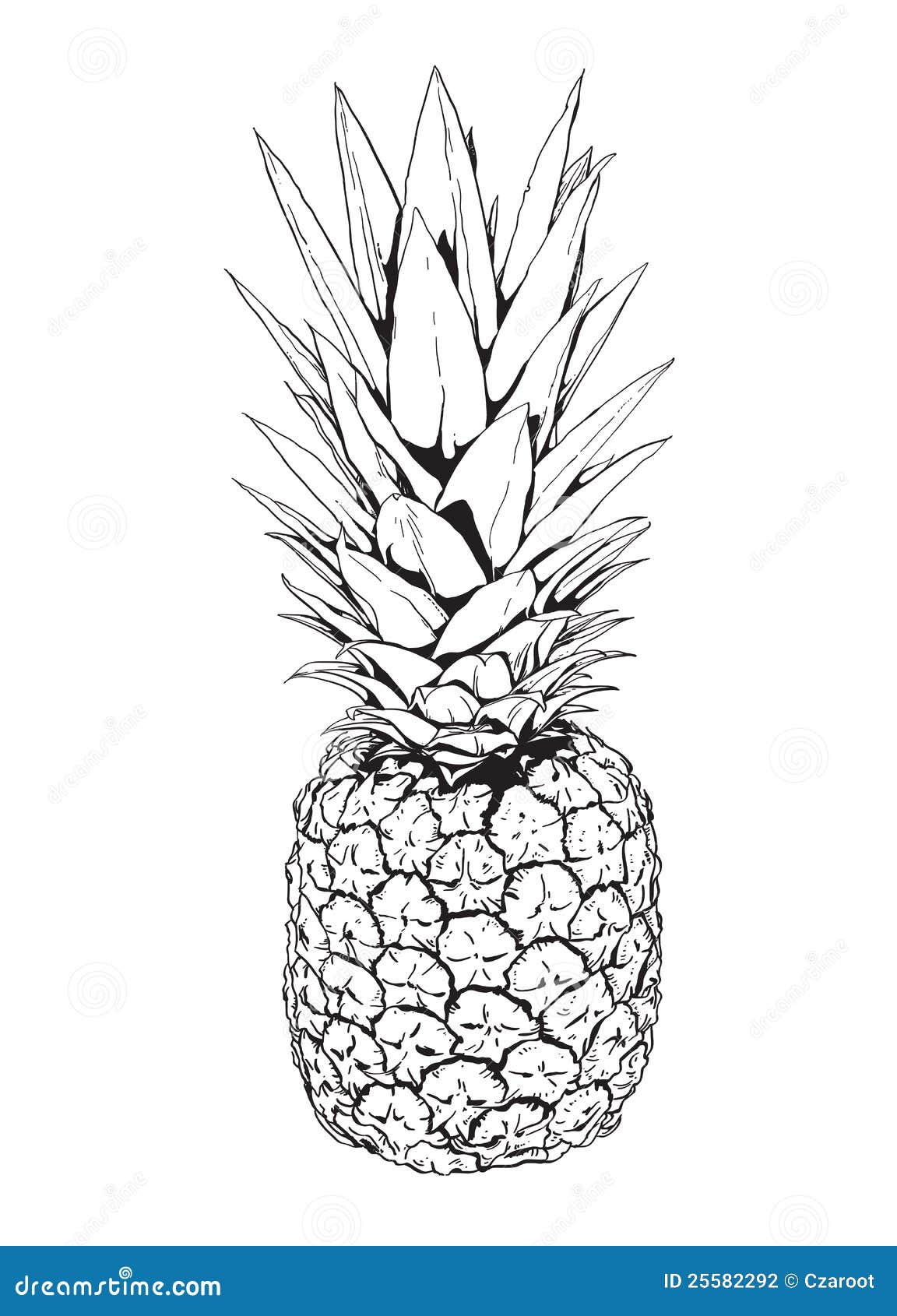 Ananas illustration de vecteur. Illustration du régime - 25582292
