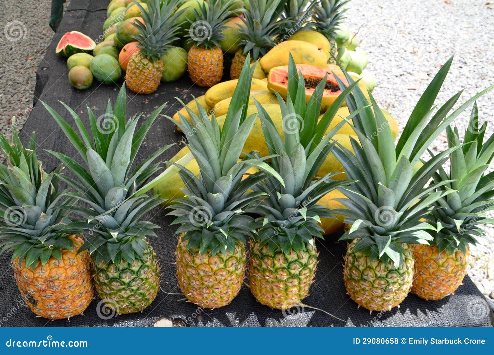 Ananas fotografia stock. Immagine di consumo, alimento - 29080658