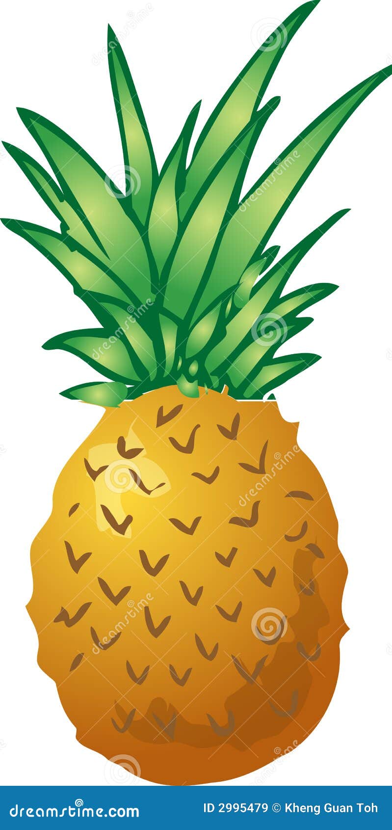 Ananas vektor abbildung. Illustration von vitamine, hand - 2995479