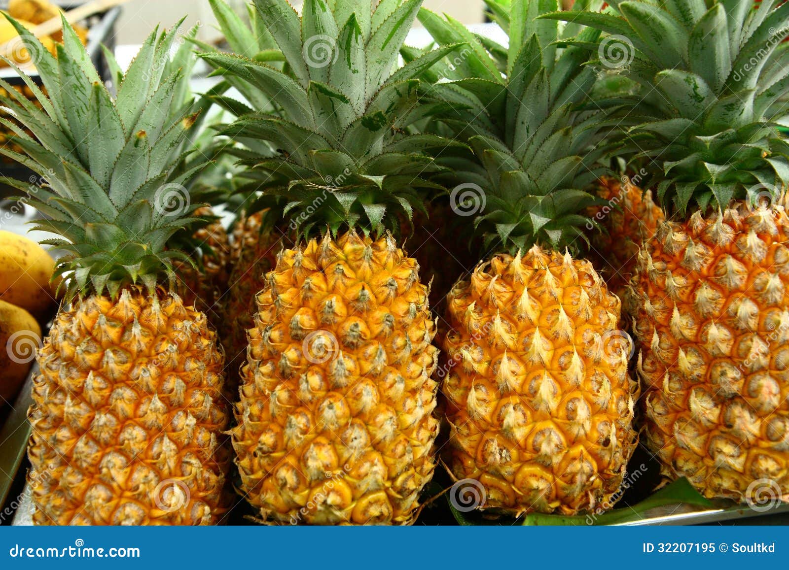 Ananas fotografering för bildbyråer. Bild av högt, skarpt - 32207195