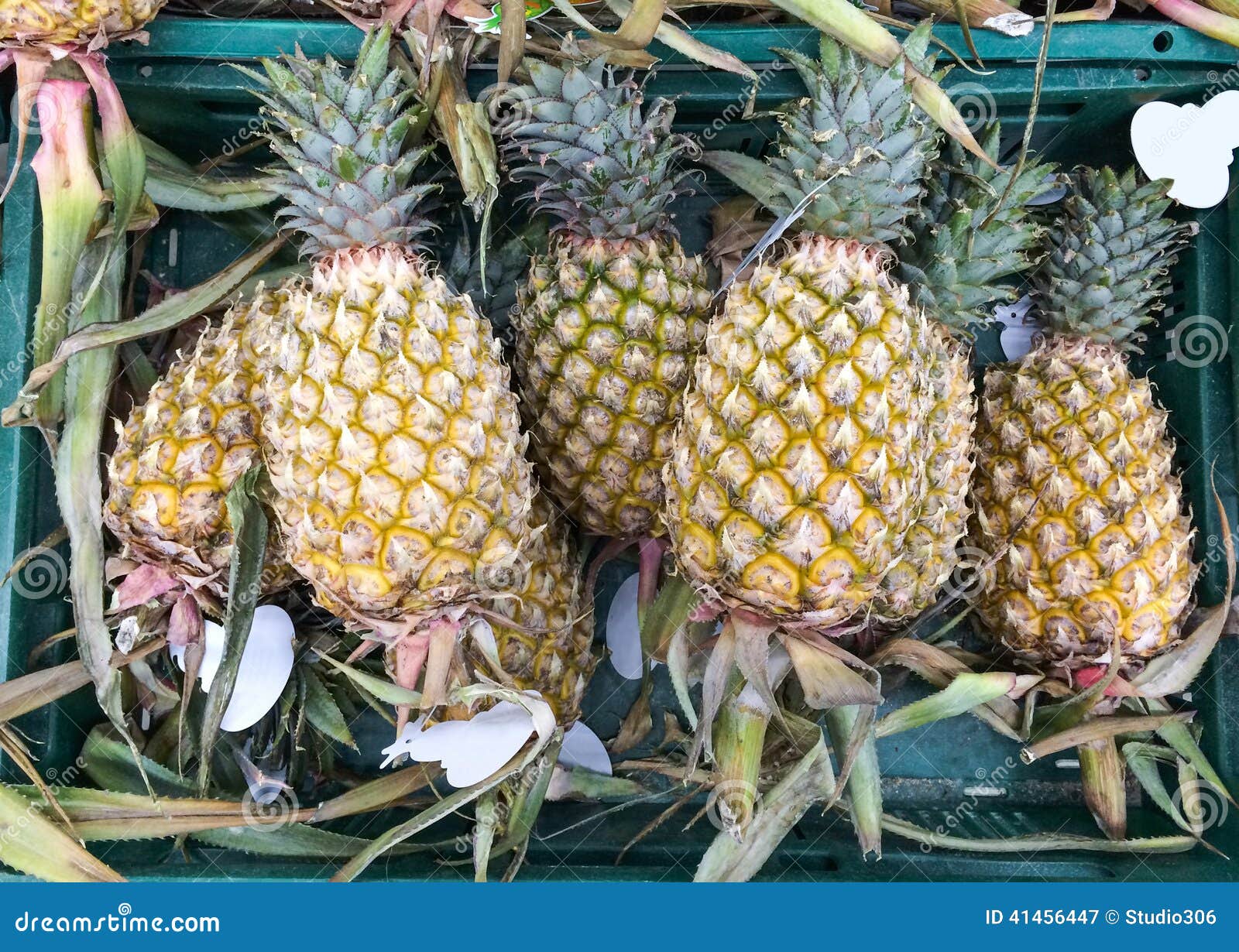 Ananas image stock. Image of juteux, couleur, objet, centrale - 41456447