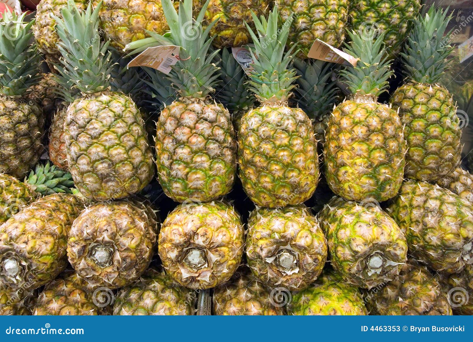 Ananas fotografering för bildbyråer. Bild av ananas, organiskt - 4463353