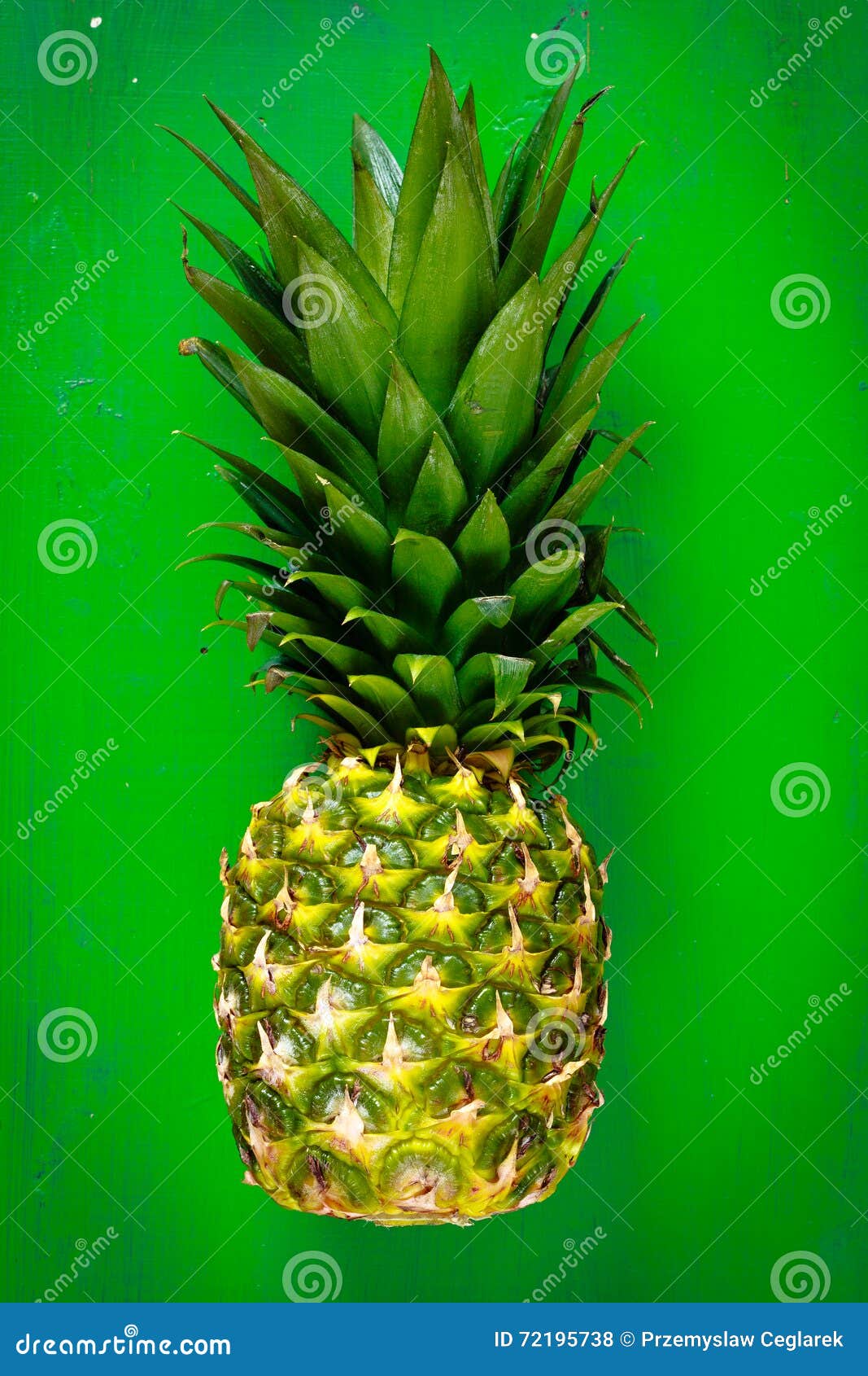 Ananas arkivfoto. Bild av ananas, kopia, färg, citrusfrukter - 72195738
