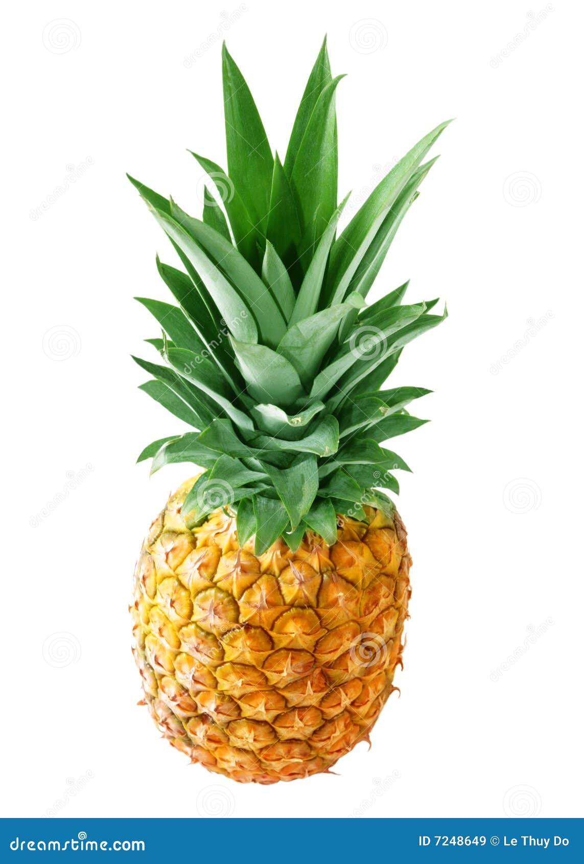 Ananas stock afbeelding. Image of studio, niemand, zoet - 7248649