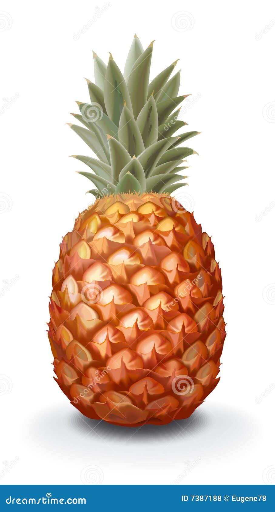 Ananas vector illustratie. Illustration of exotisch, vruchten - 7387188