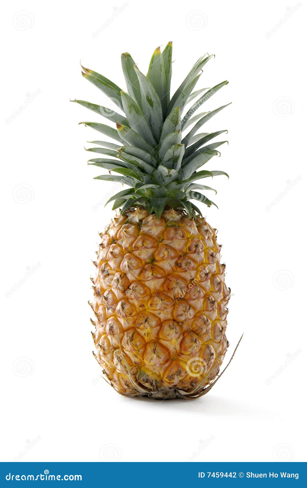 Ananas arkivfoto. Bild av parfymerat, bakgrund, färg, asiatisk - 7459442