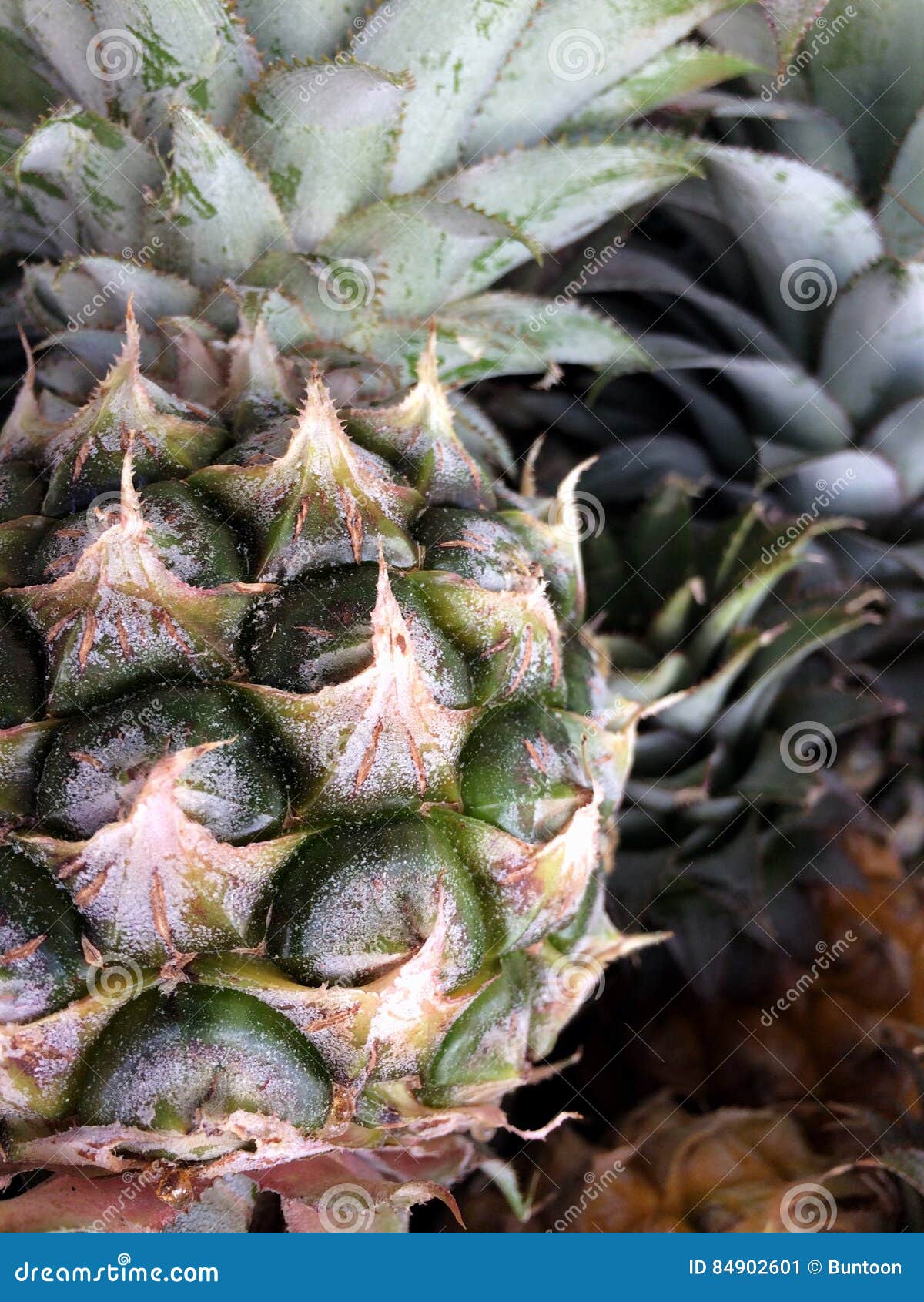 Ananas image stock. Image du tropical, vert, thaïlande - 84902601