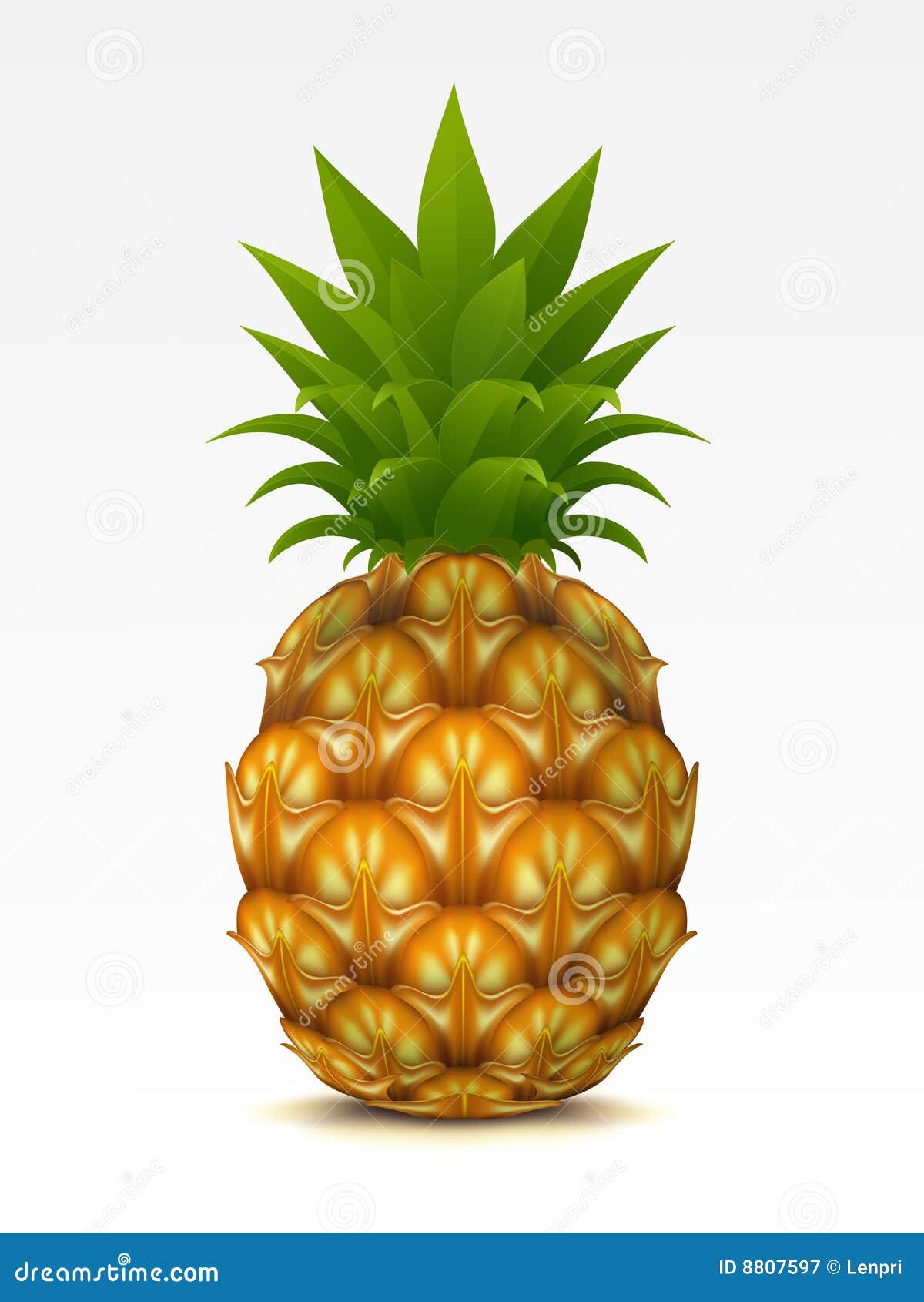 Ananas vektor illustrationer. Illustration av efterrätt - 8807597