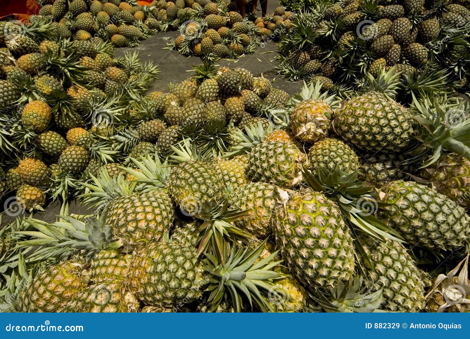 Ananas stockbild. Bild von reif, erzeugnis, beschaffenheit - 882329