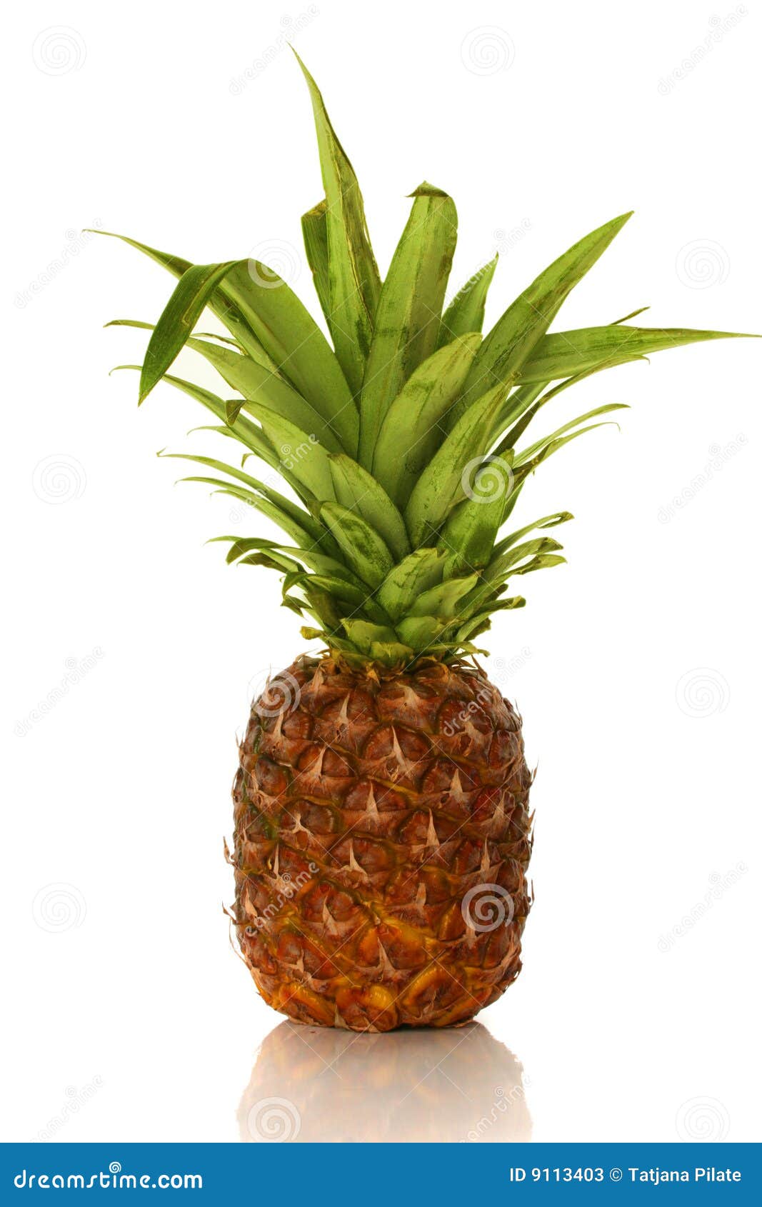 Ananas immagine stock. Immagine di tropicale, sano, organico - 9113403