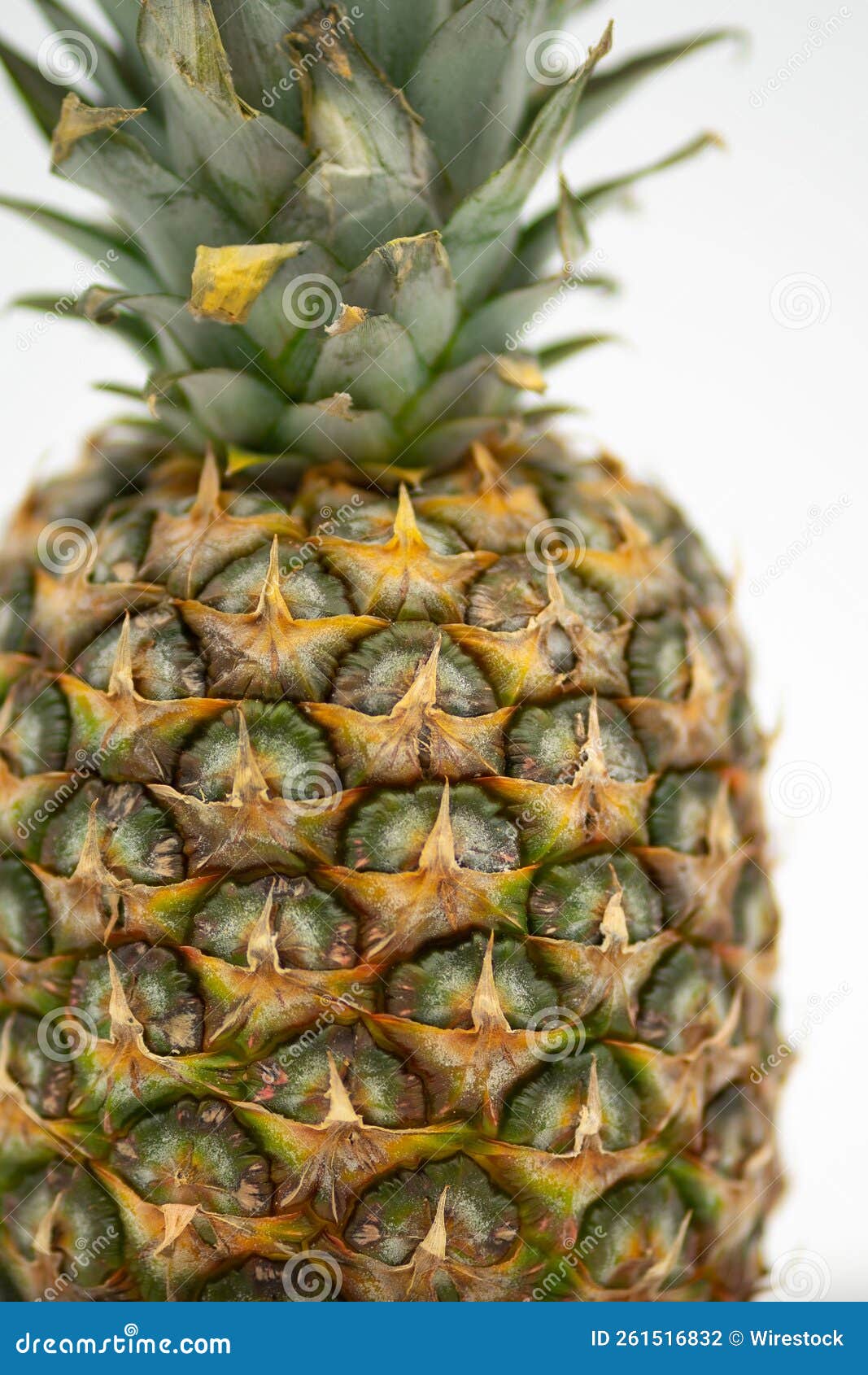 Ananas Closeup White Background Stock Photo - Image of sweet, healthy ...