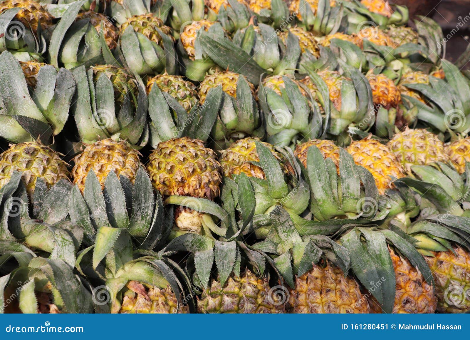 Ananas Da Frutto Sano Sfondo Dell'ananas Immagine Stock - Immagine di ...