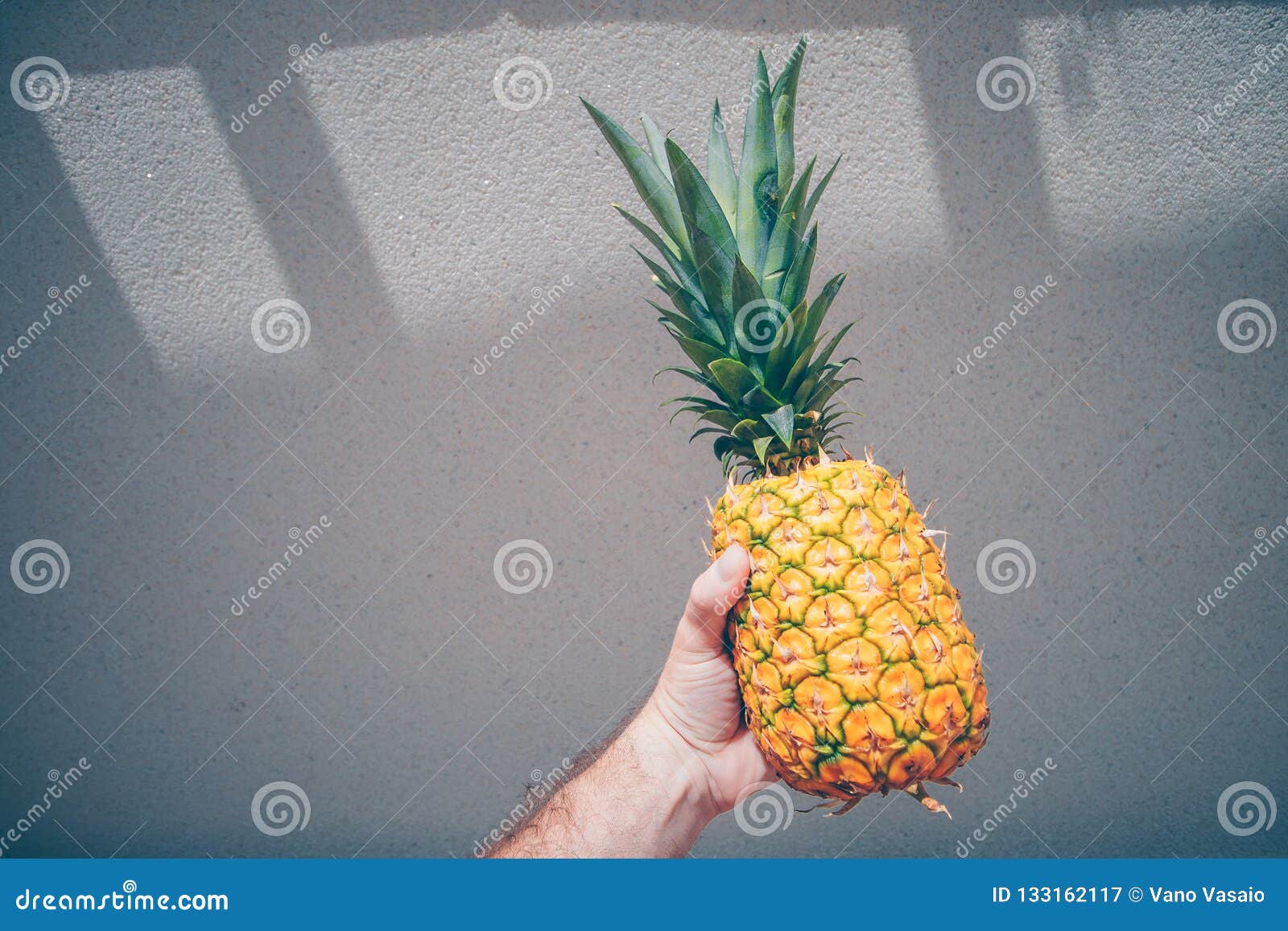 Ananas Dans La Main De L'homme Image stock - Image du sain, normal ...