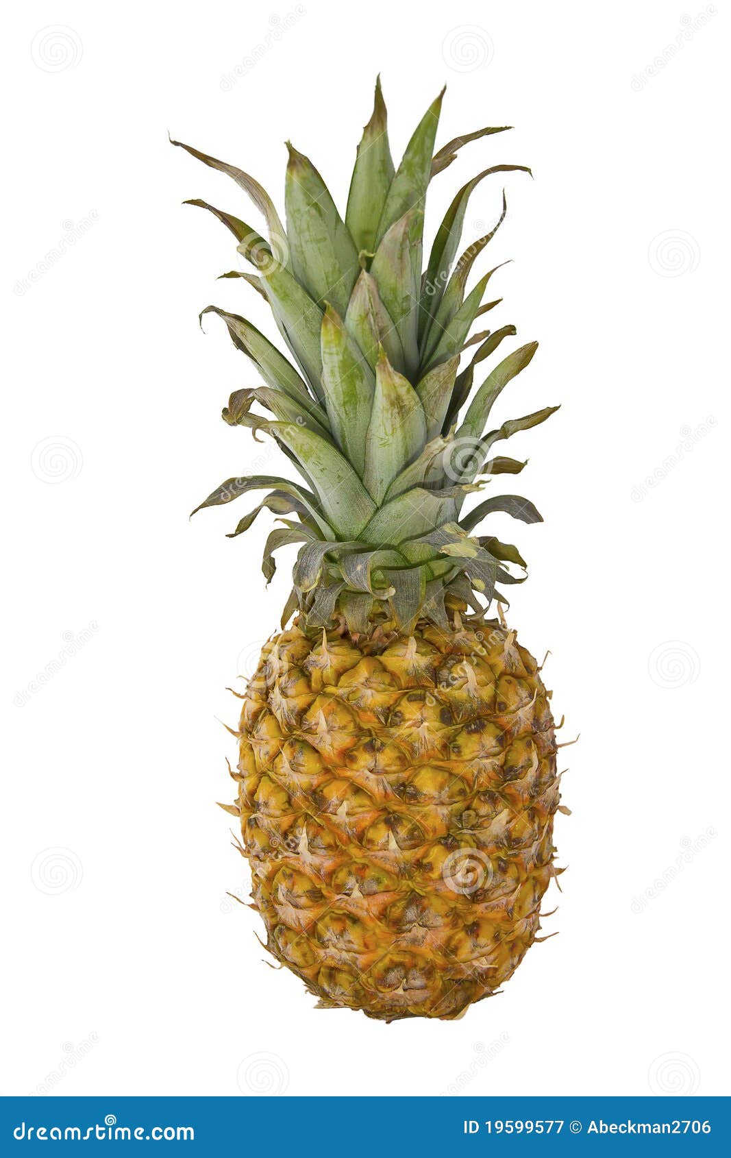 Ananas isolated stock image. Image of health, tropic - 19599577
