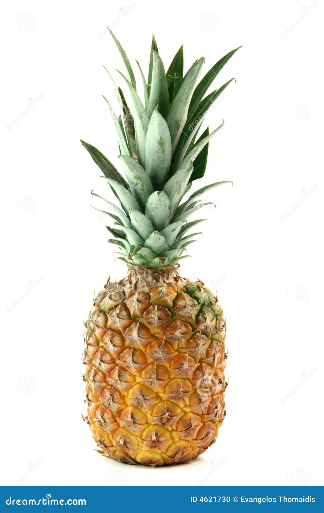 Ananas isolated stock photo. Image of produce, food, pineapple - 4621730