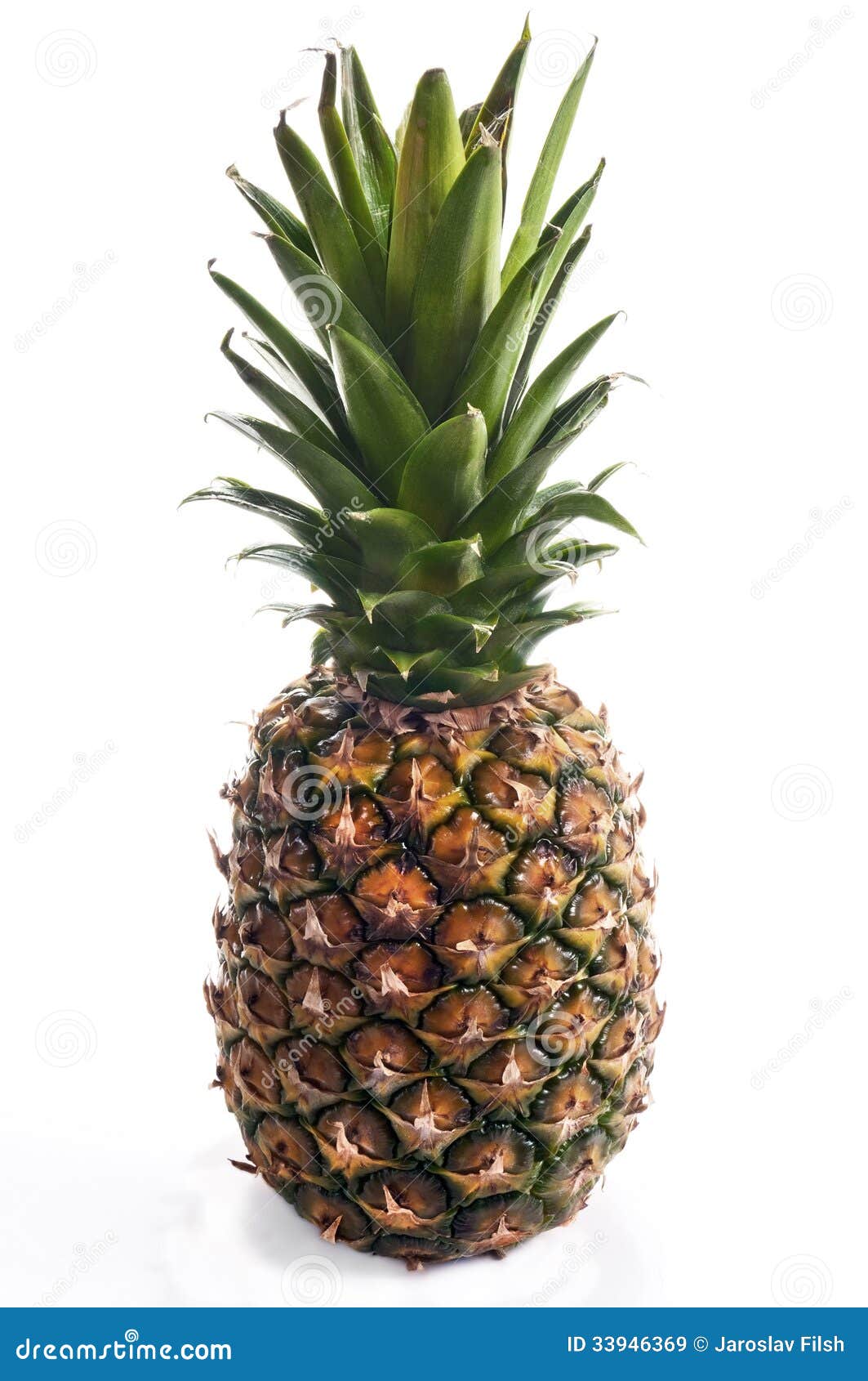 Ananas stock image. Image of gourmet, green, copy, nature - 33946369