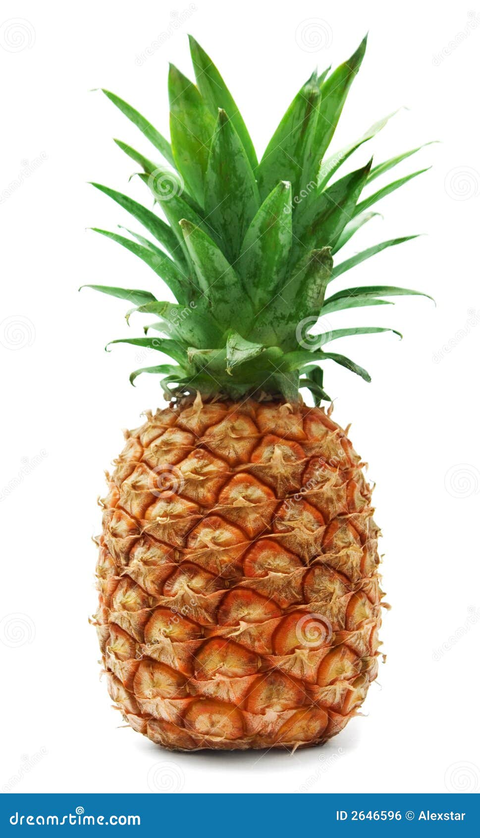 Ananas Mûr Image libre de droits - Image: 2646596