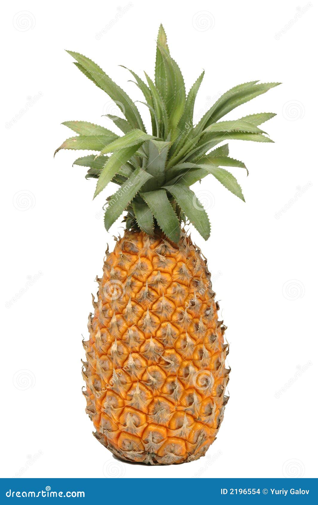 Ananas Op Witte Achtergrond Stock Foto - Image of cultuur, leven: 2196554