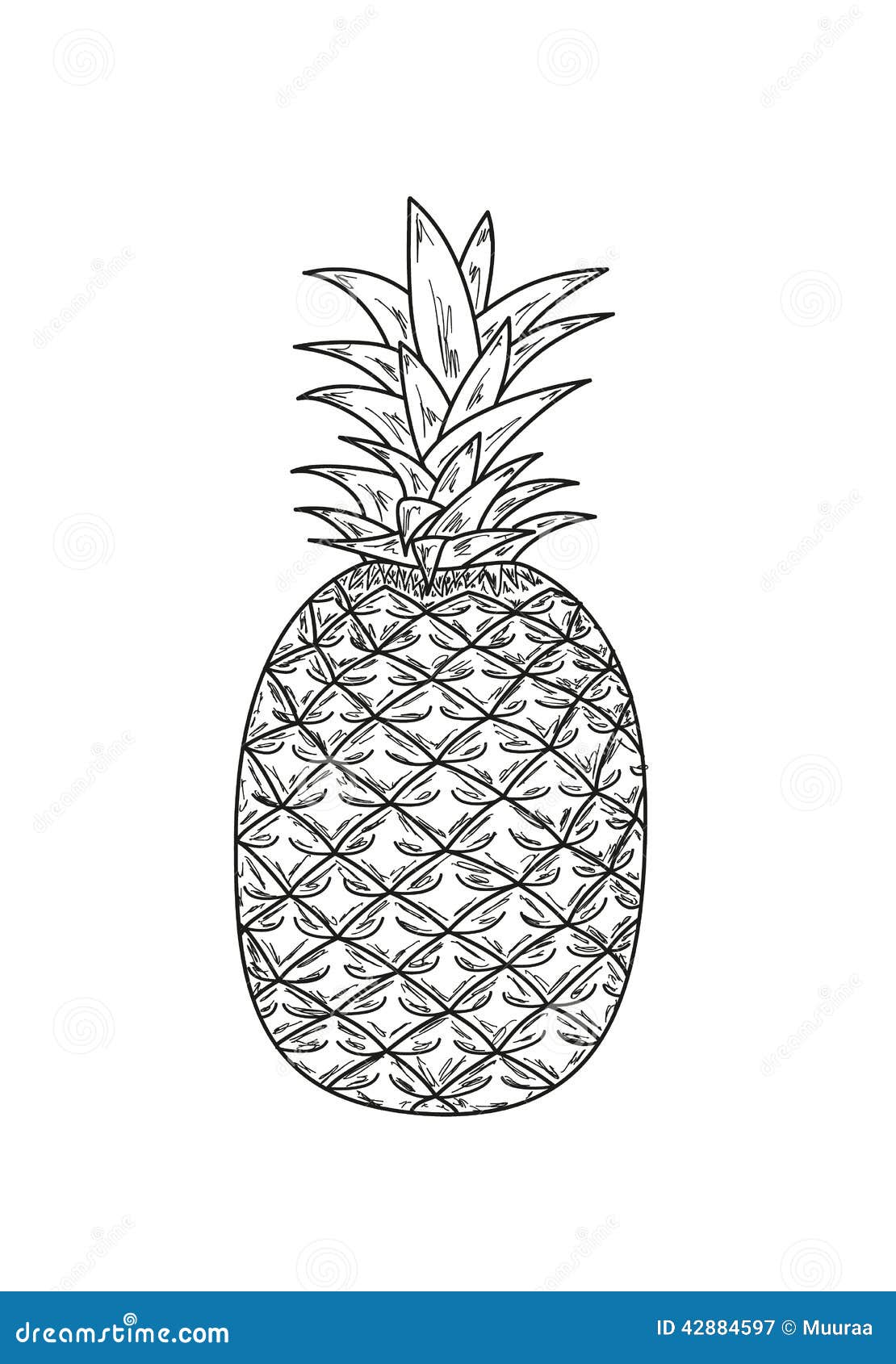 Ananas, sketch stock vector. Illustration of fresh, sweet - 42884597