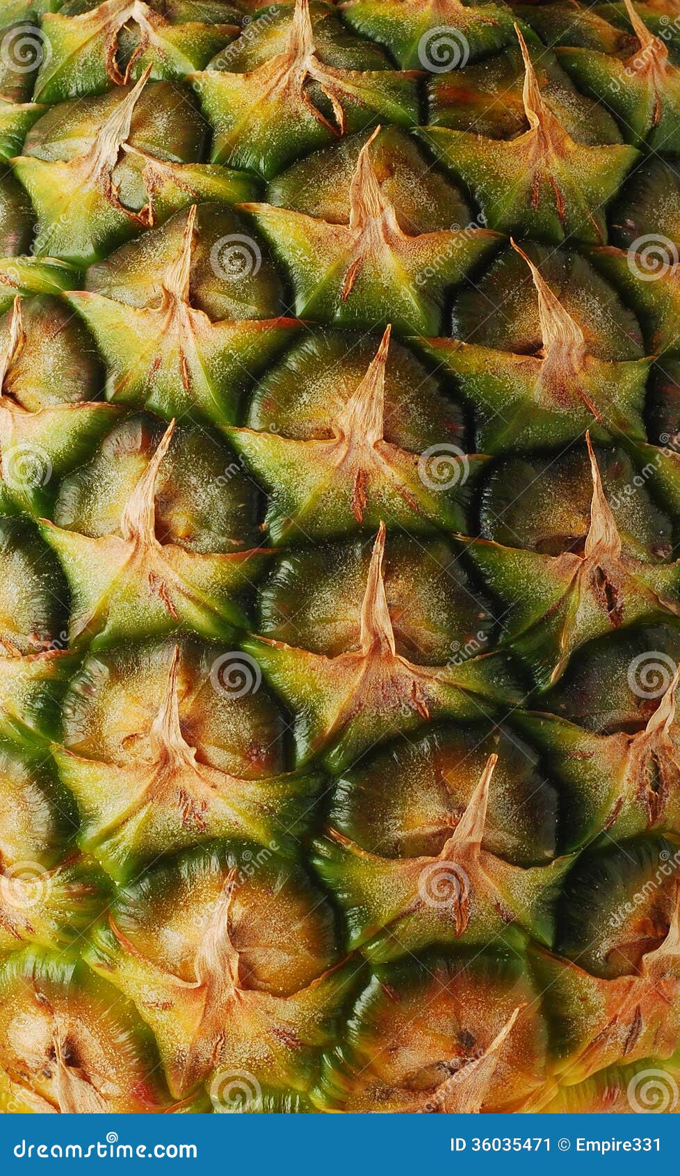 Pineapple texture stock image. Image of pattern, plant - 36035471