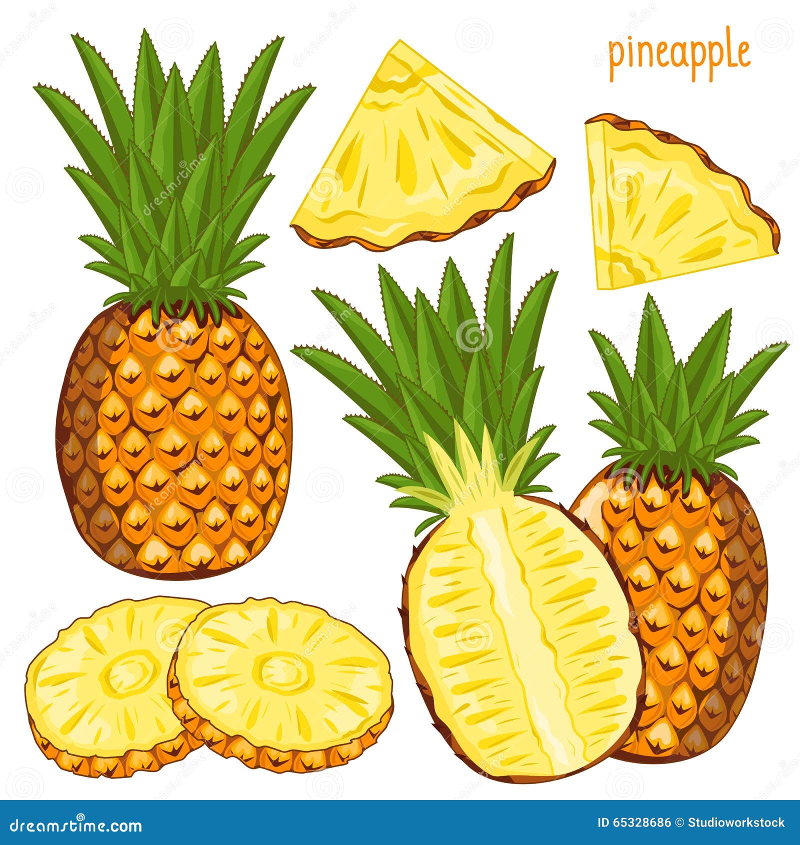 Ananas, Vector vector illustratie. Illustration of organisch - 65328686
