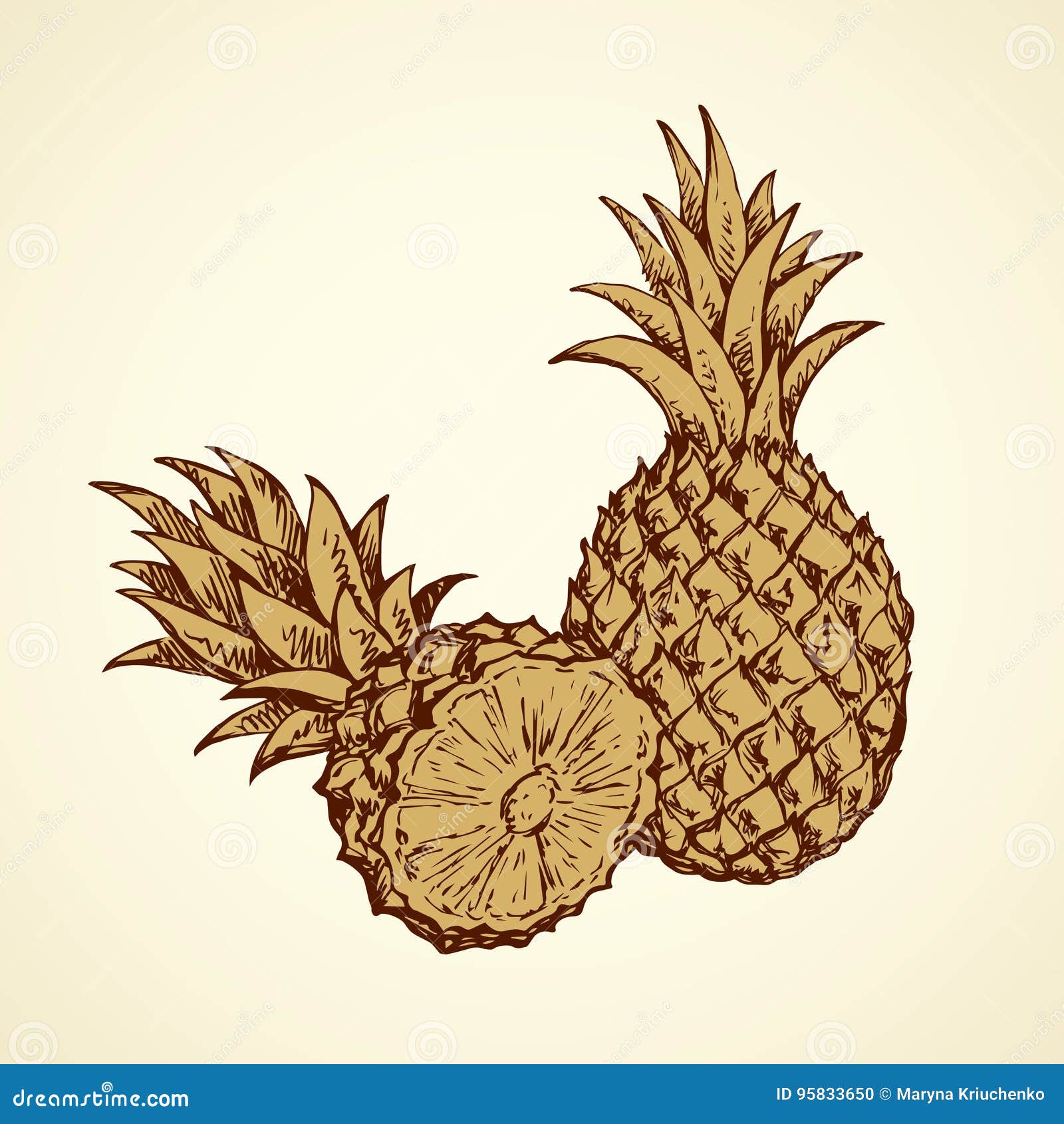 Ananas Vector tekening vector illustratie. Illustration of lijn - 95833650