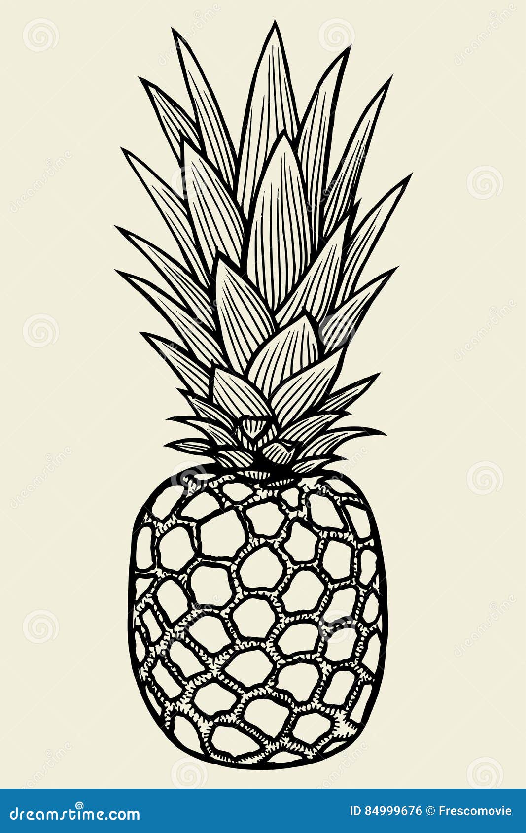 Ananas-Vektor-Illustration vektor abbildung. Illustration von ...