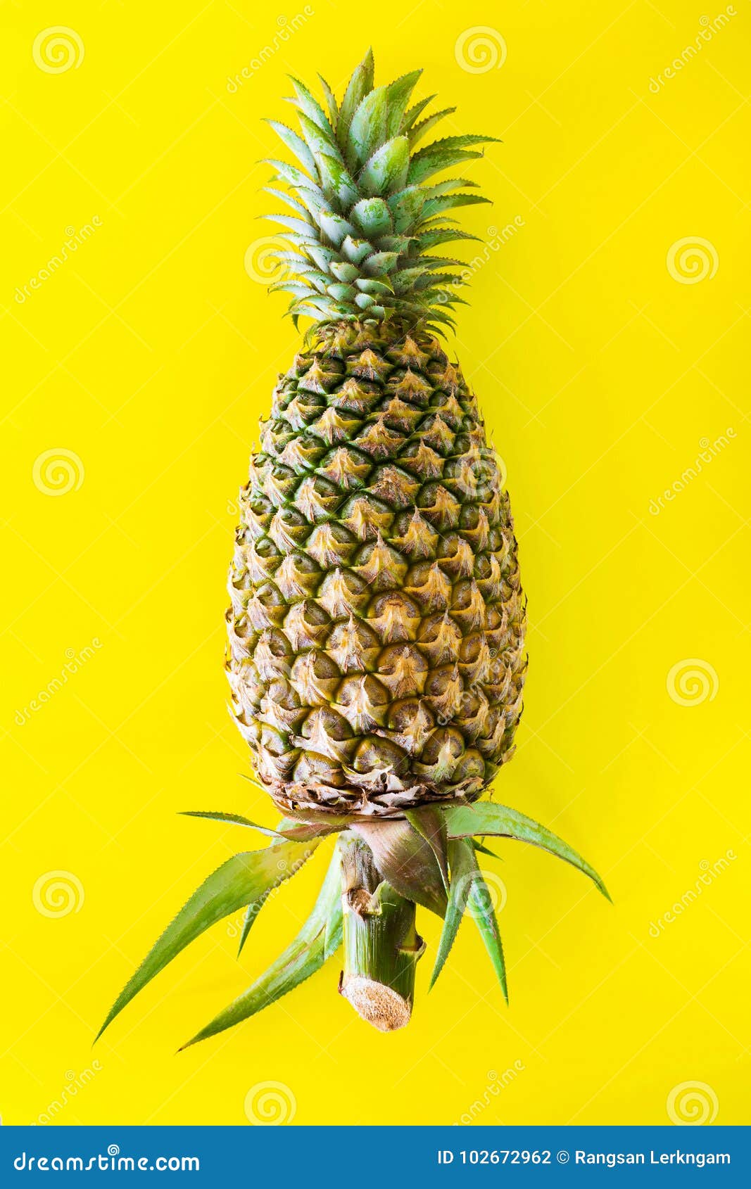 Ananas, vers fruit stock foto. Image of kleur, geïsoleerd - 102672962